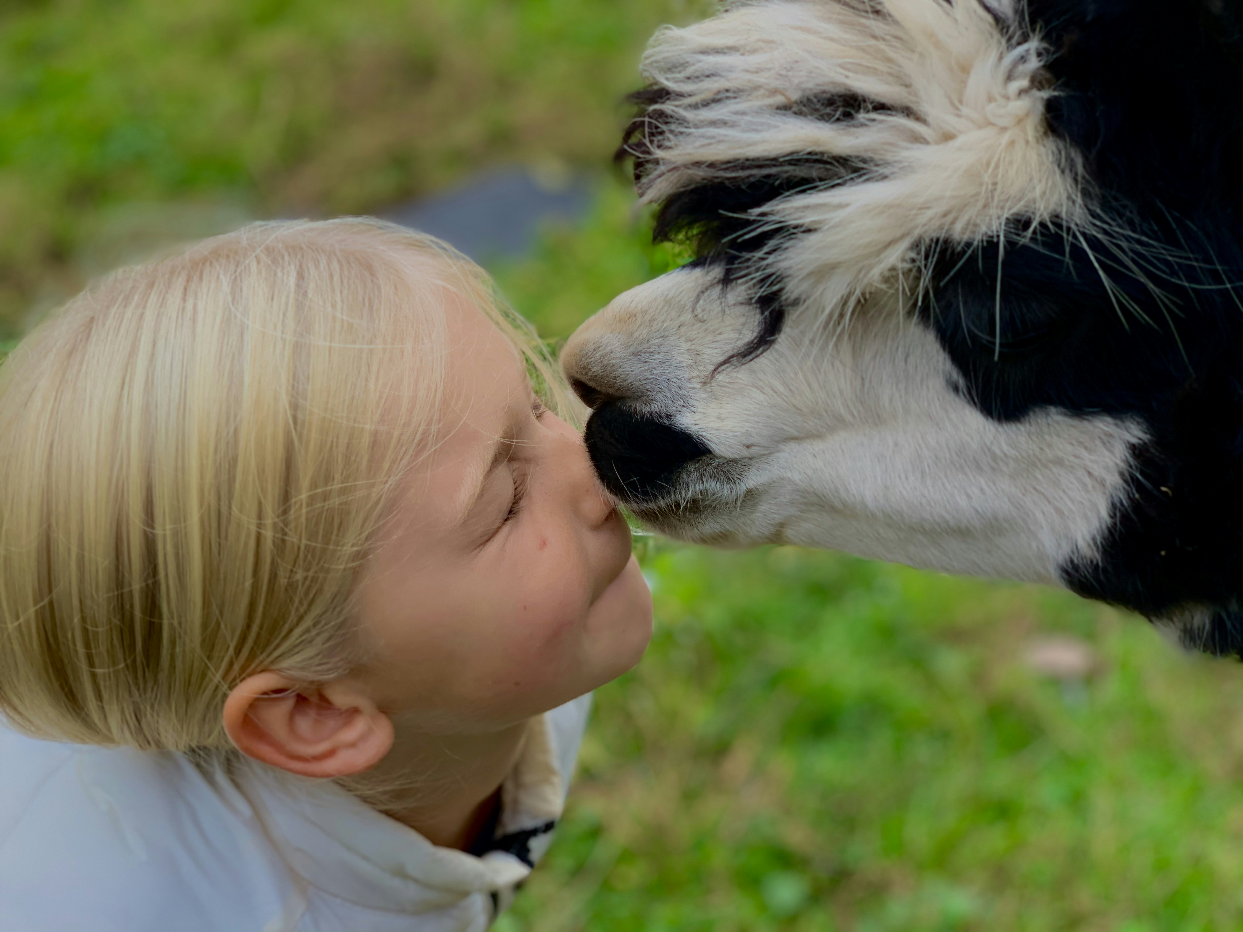 Greg Lippert (@lipnorth) | Unsplash Photo Community