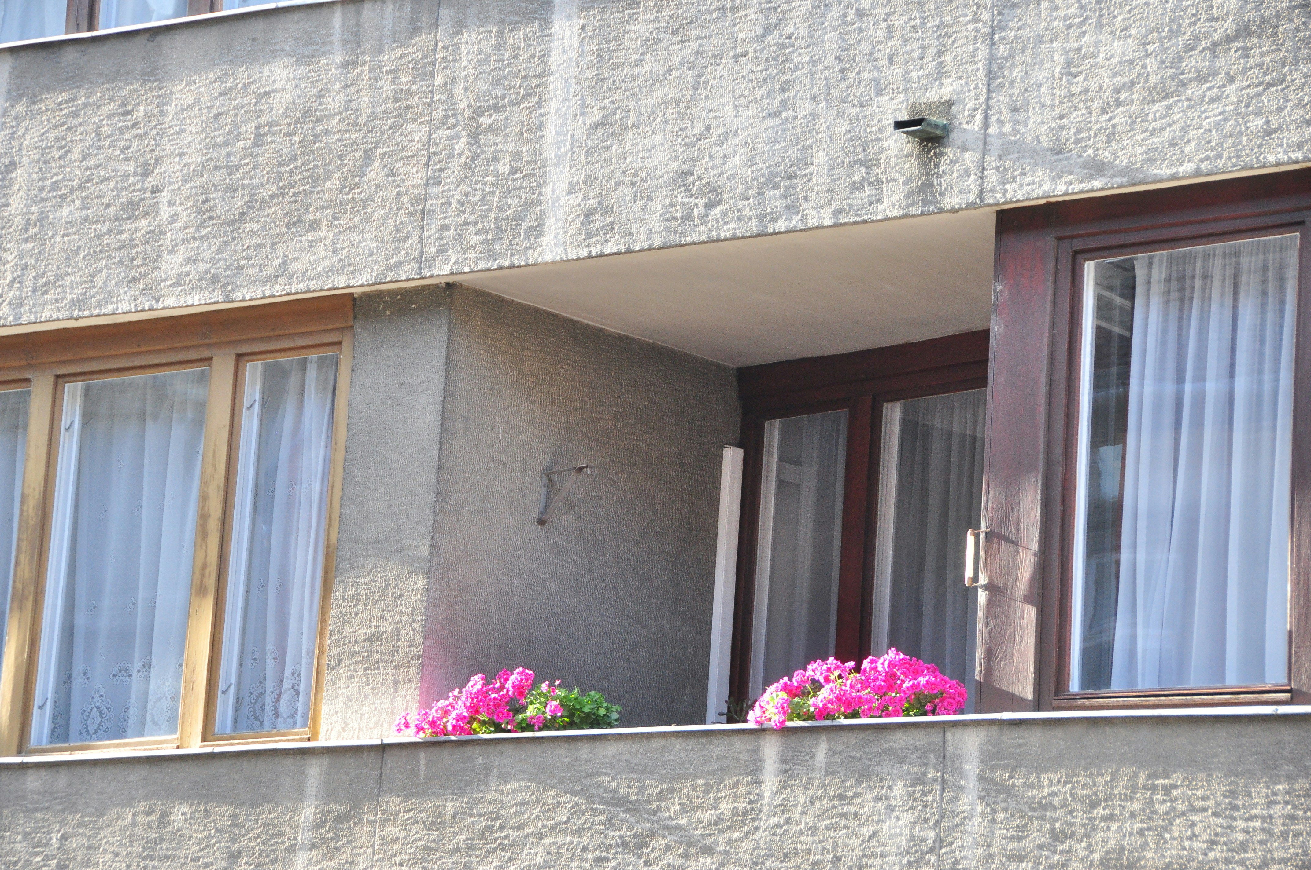 Pink Petals on a Concrete Balcony