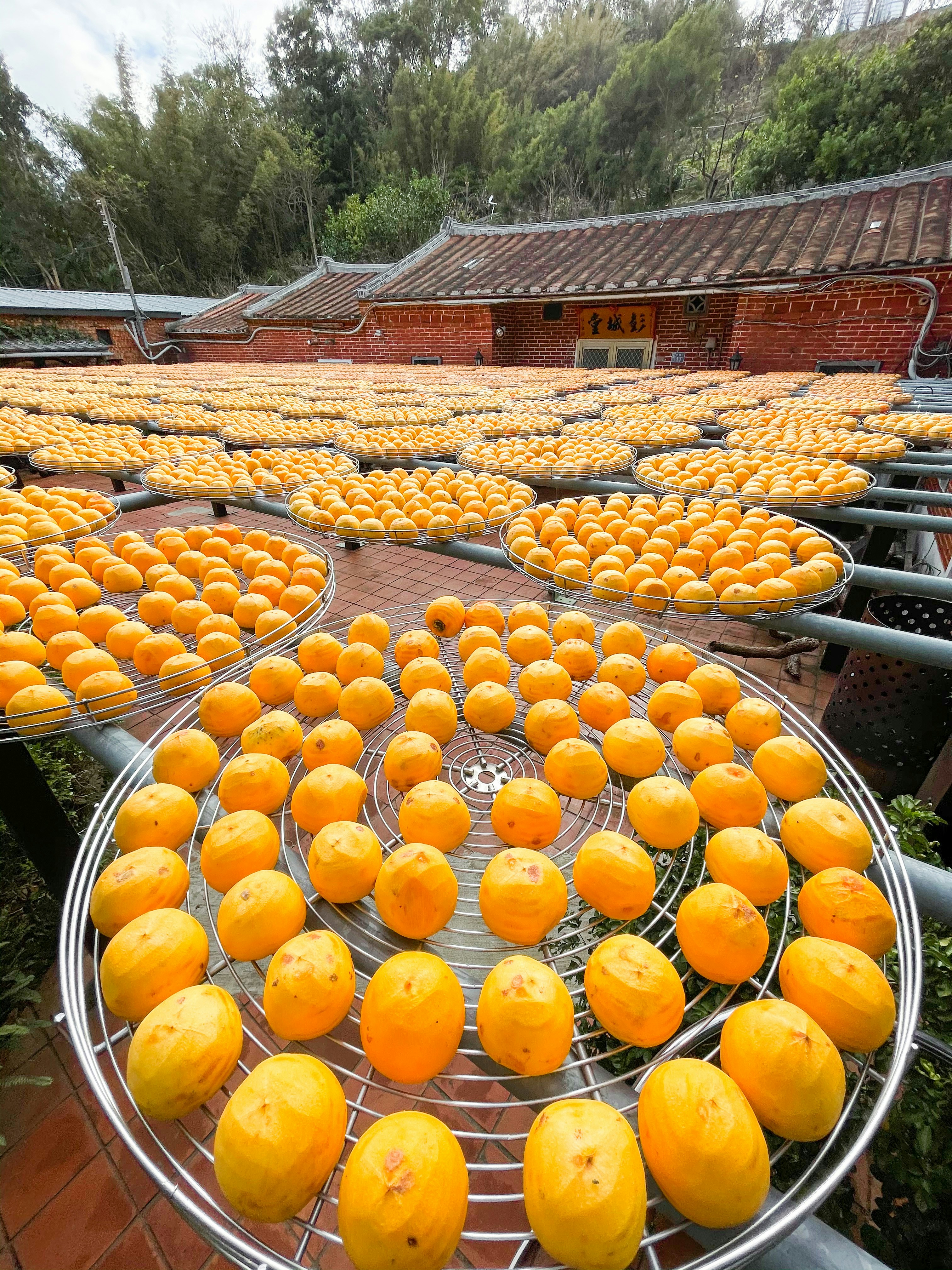 yellow round fruits on gray metal round tray