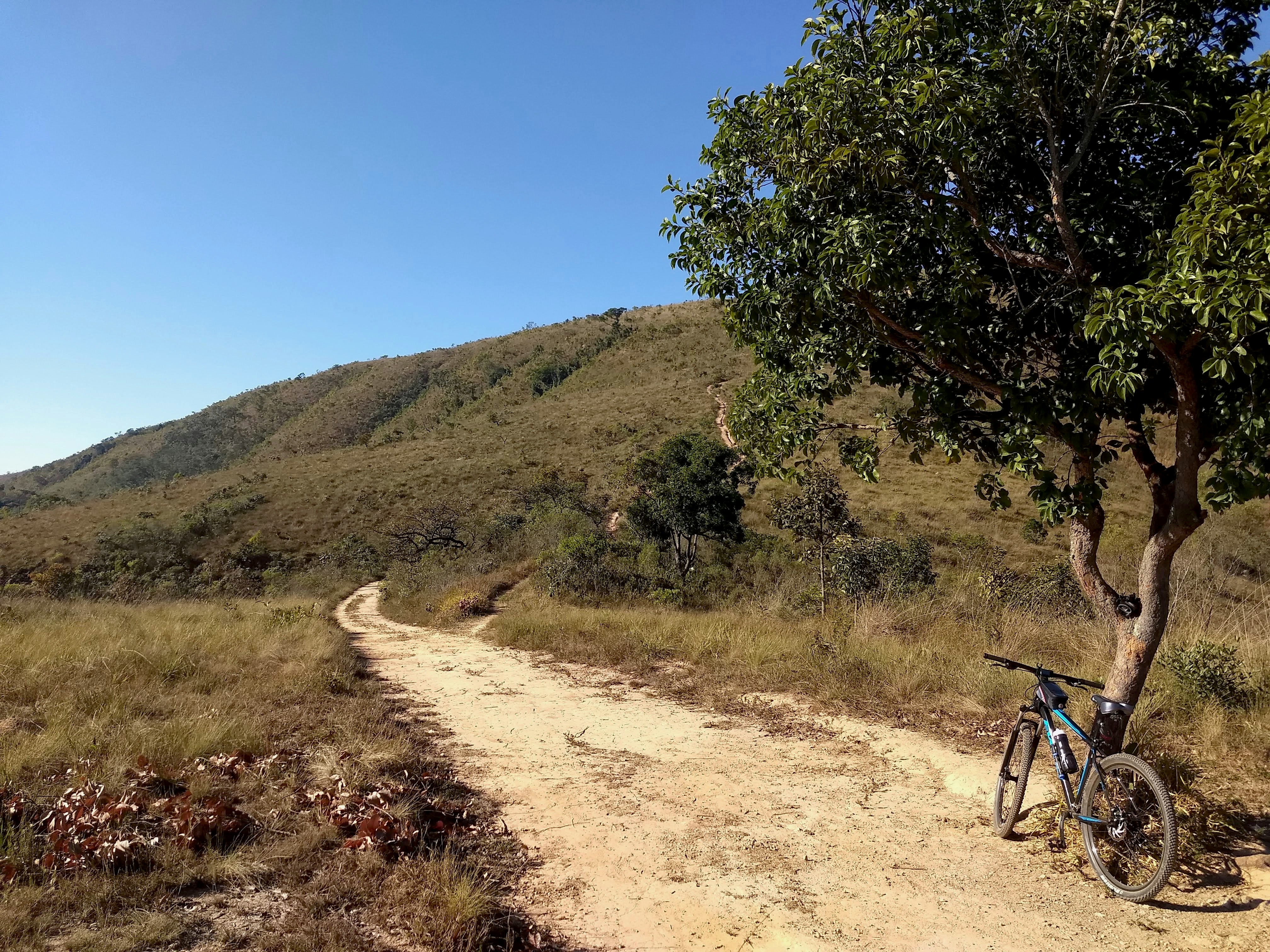 Dirt path winding through grassy hills under a clear blue sky, with a bicycle leaning against a tree.