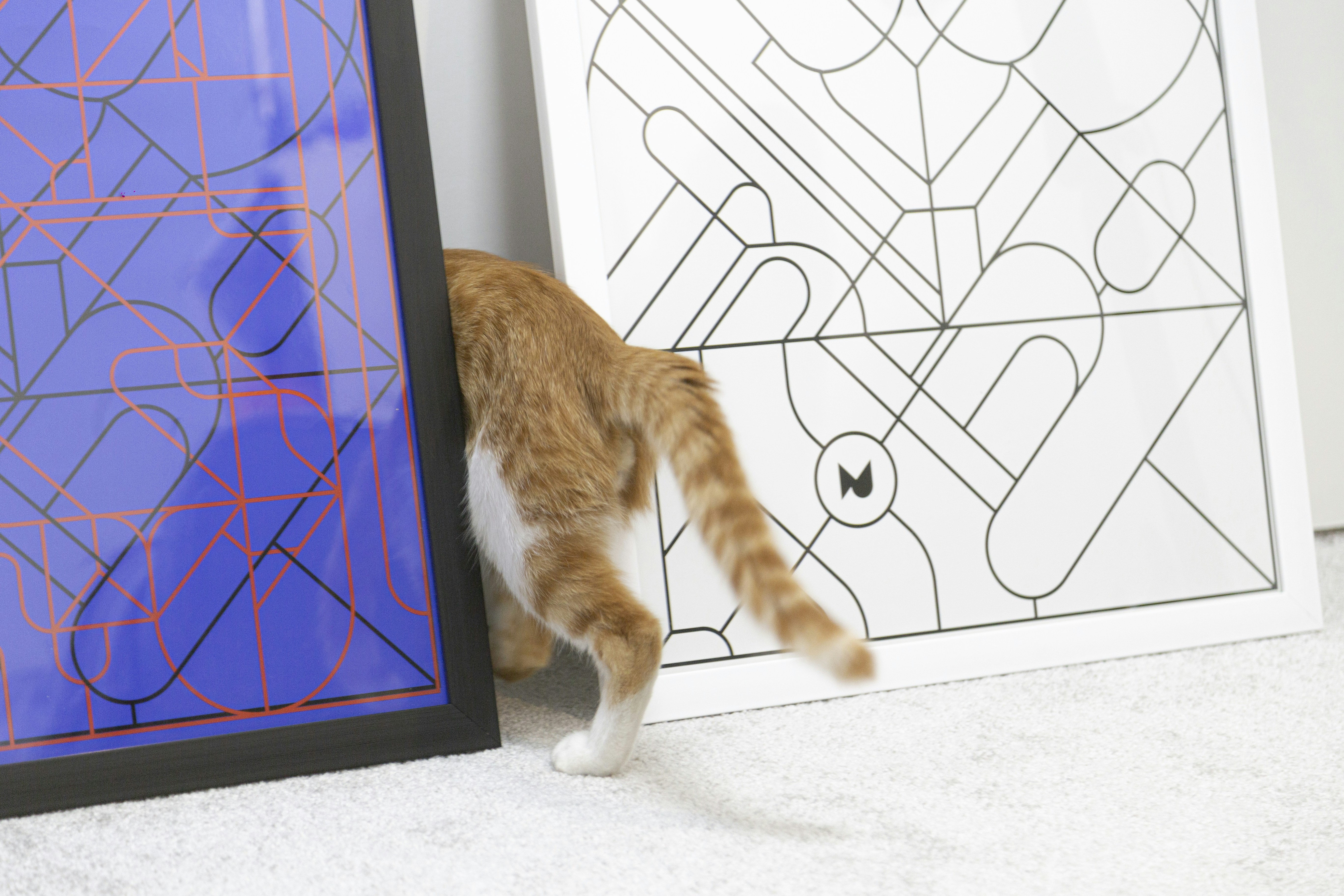 Between Frames and Fur: A Curious Cat's Tail in a Quiet Gallery