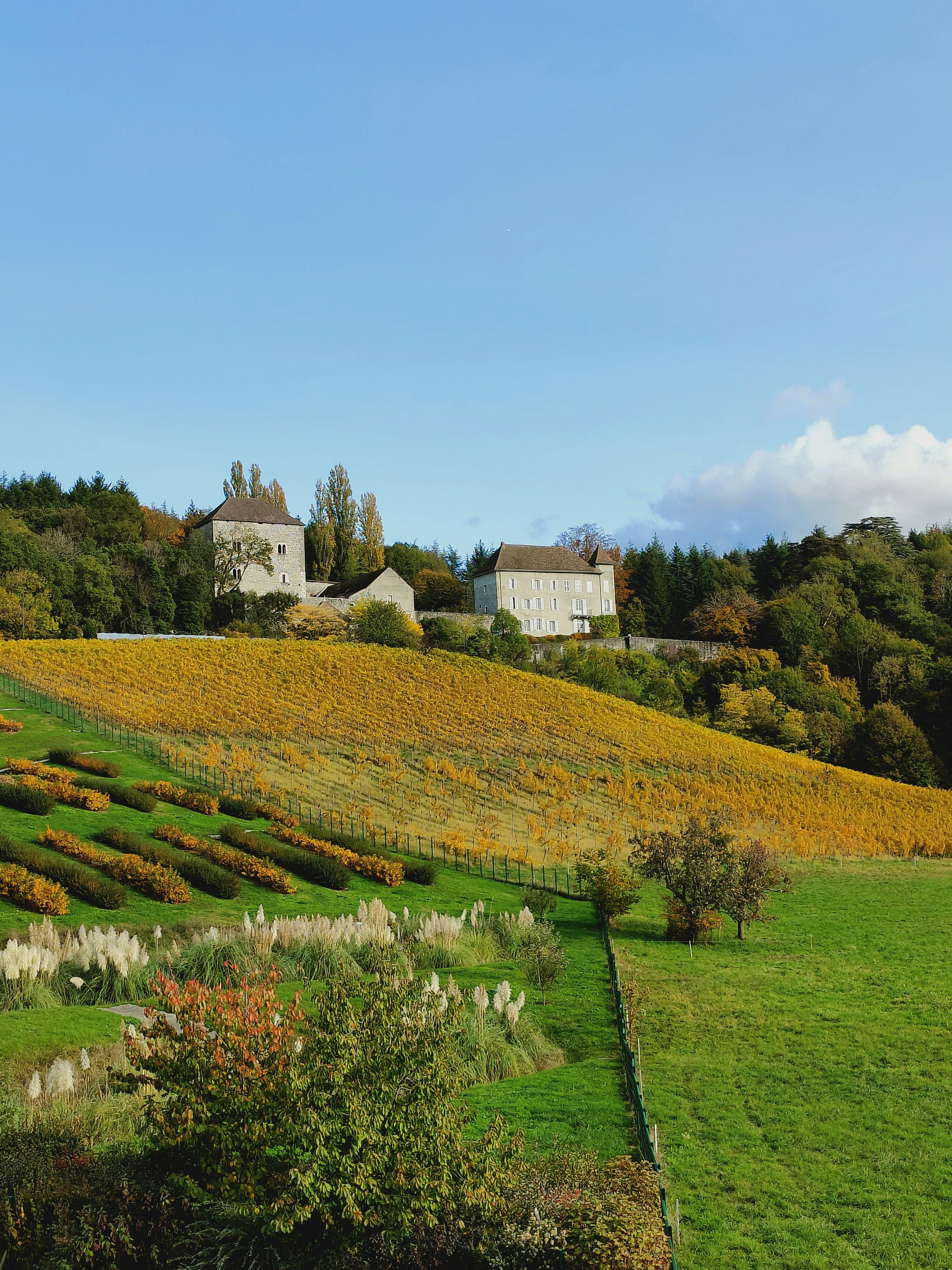 Not Guilty Pictures | Download Free Images on Unsplash