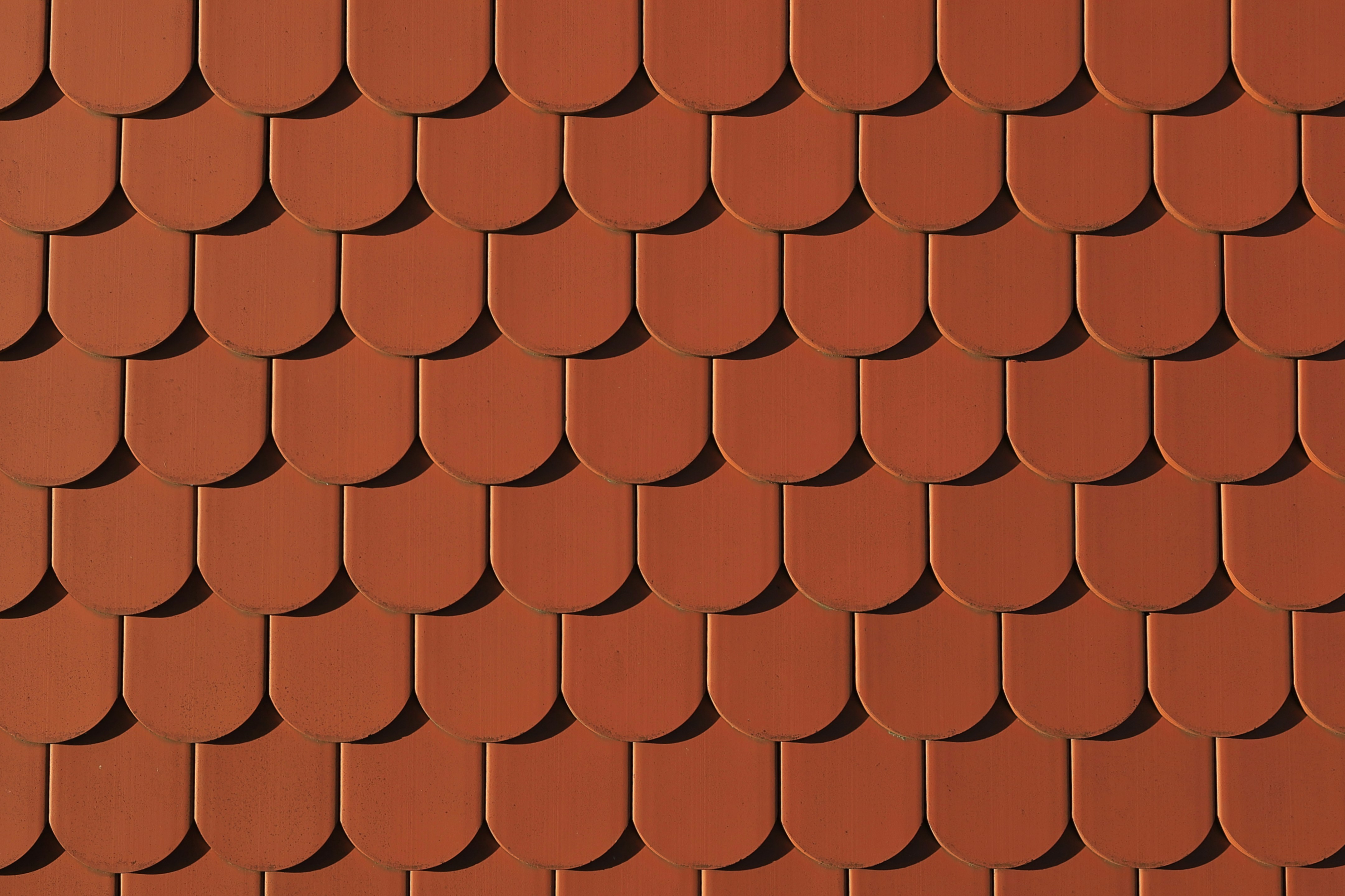 Terracotta Scallop Field: A Close-Up of Repeating Orange Arches