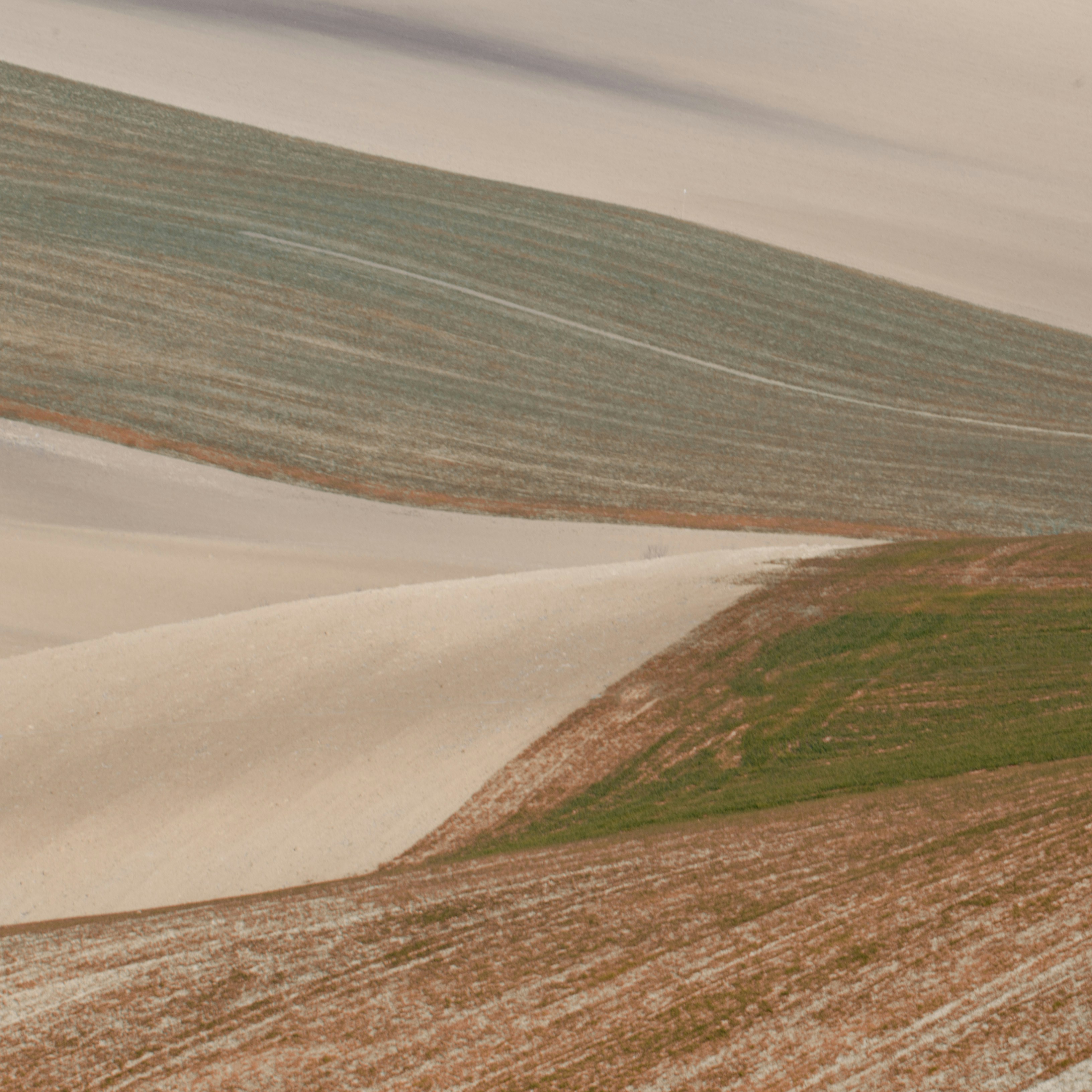 Serpentine Dunes Carve a Patchwork Landscape