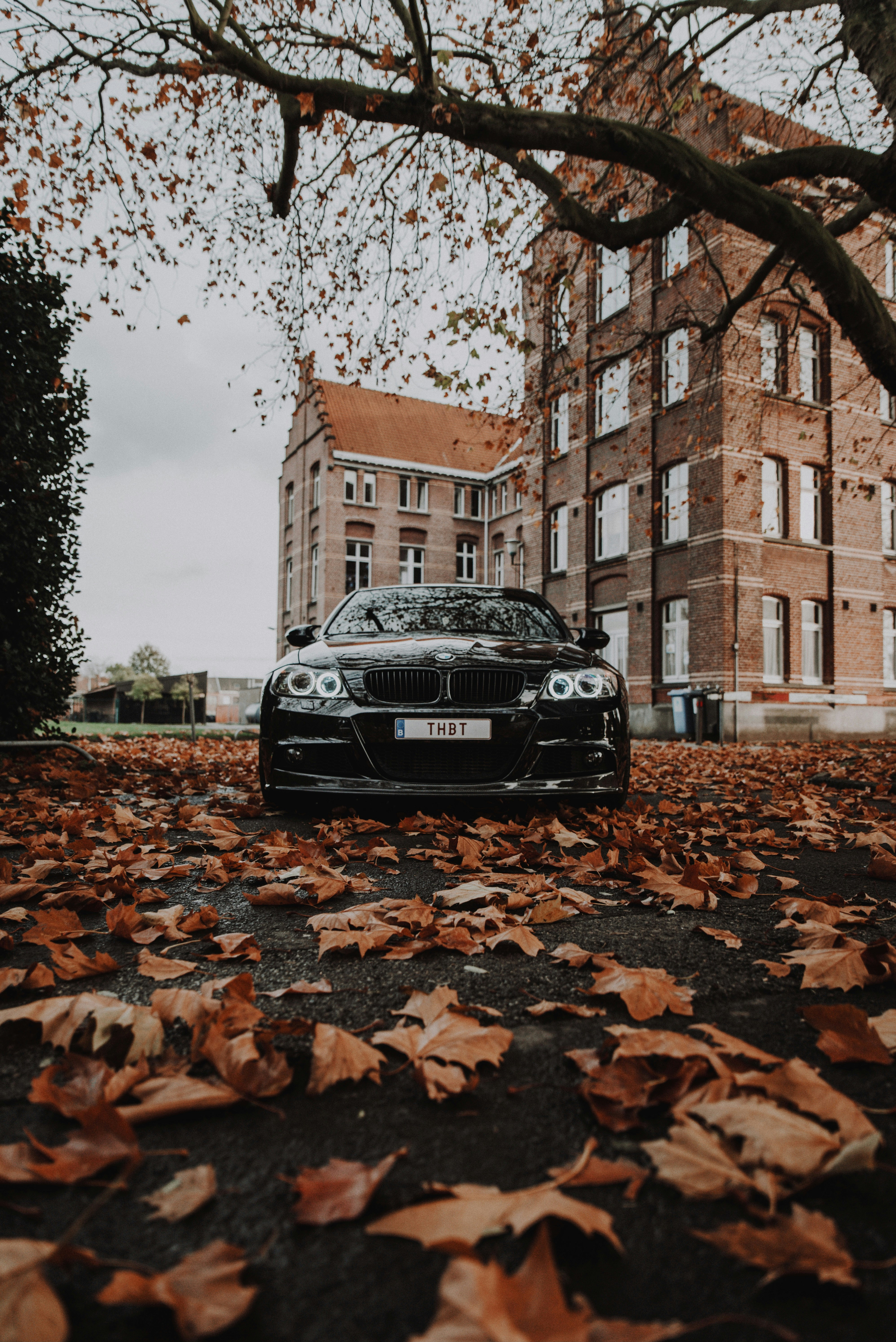 Black BMW parked on a leaf-covered path in front of a historic building, surrounded by autumn foliage.