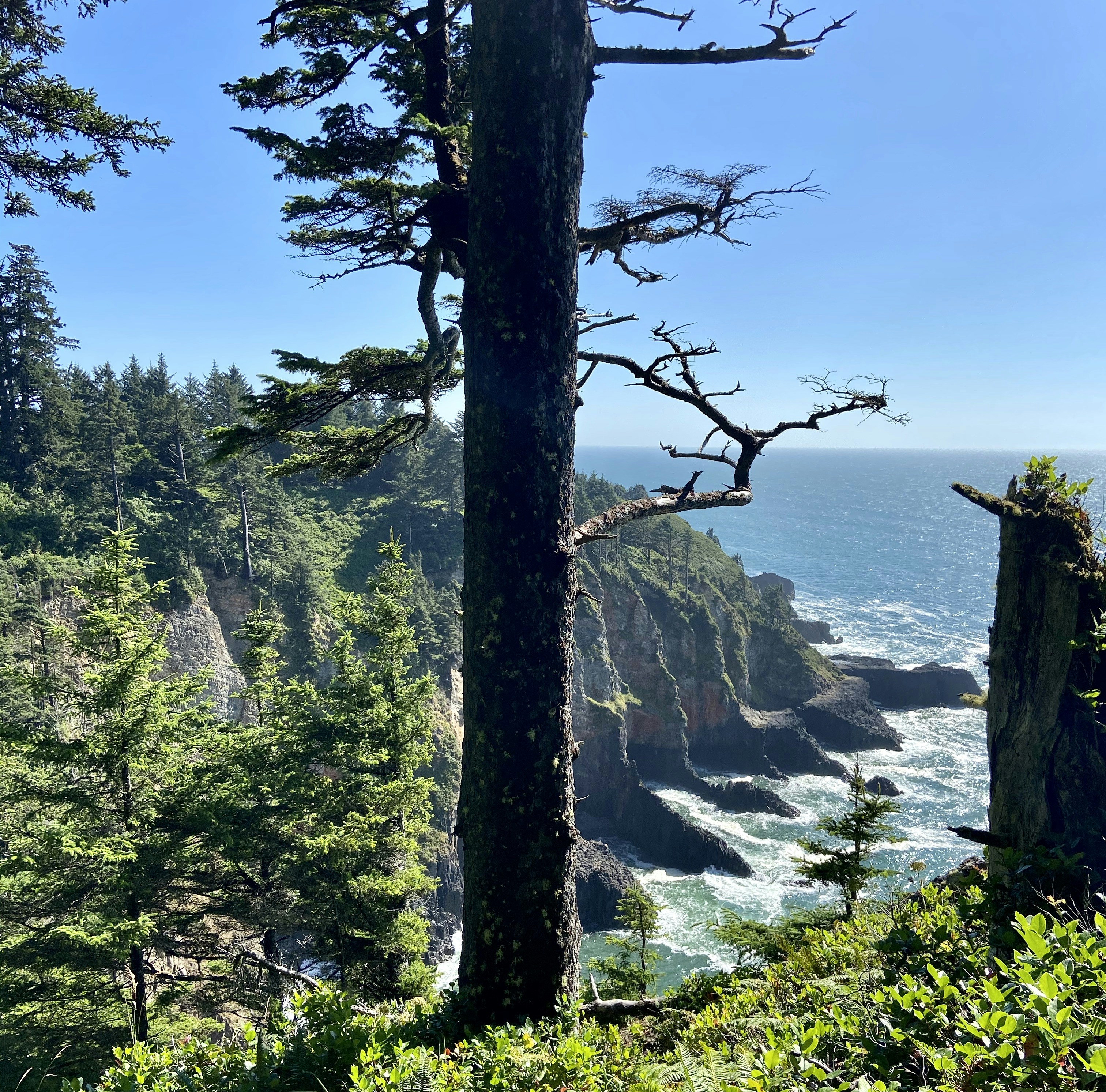 A few months back I went on a mostly silent overnight retreat. Day 2 was a silent 7 mile hike with other retreat participants, socially-safe, together in the woods. We trekked along part of the Pacific Coast trail and hugged cliff-sides for epic views. This was one of them.