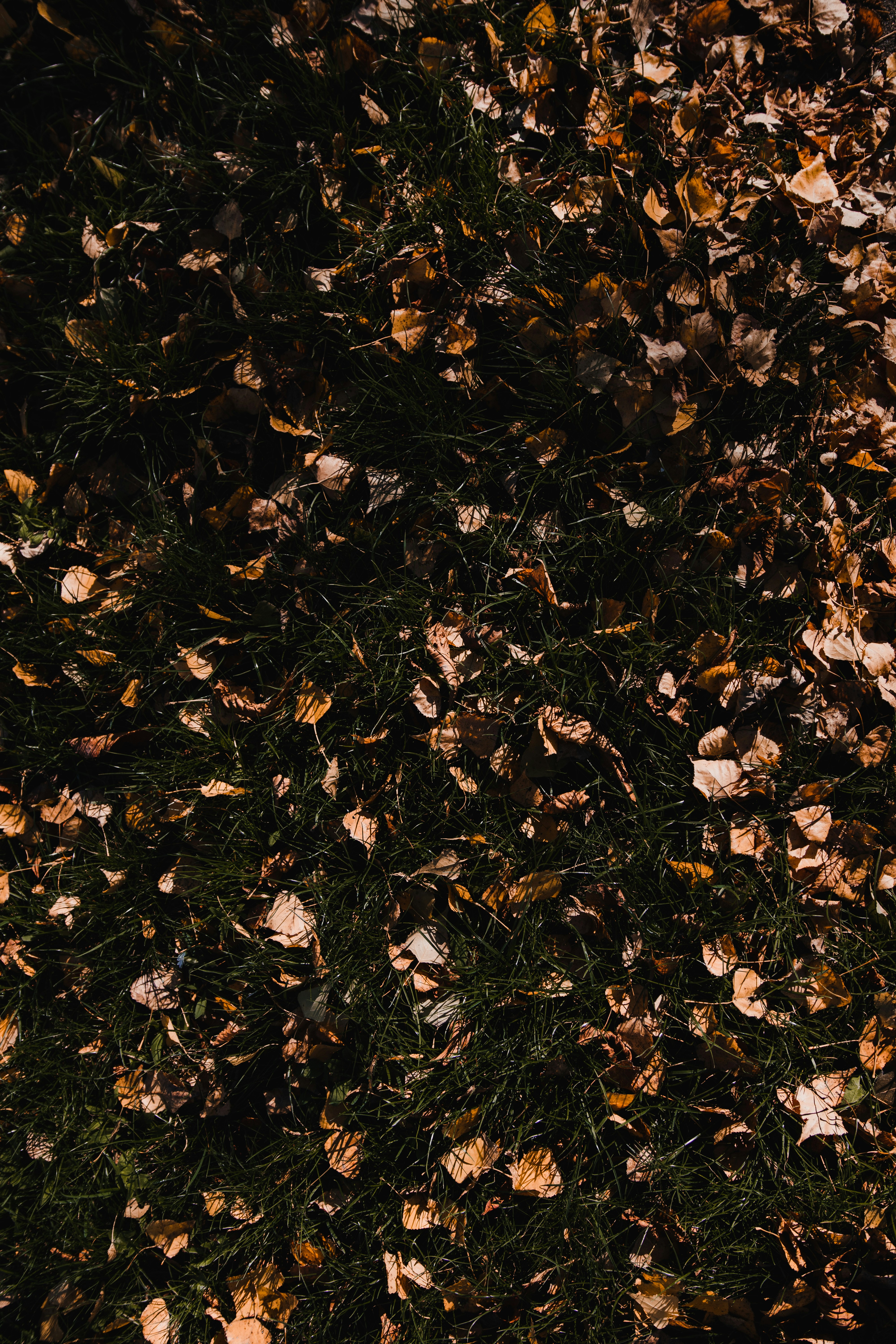 Photo by Maksym Tymchyk 🇺🇦