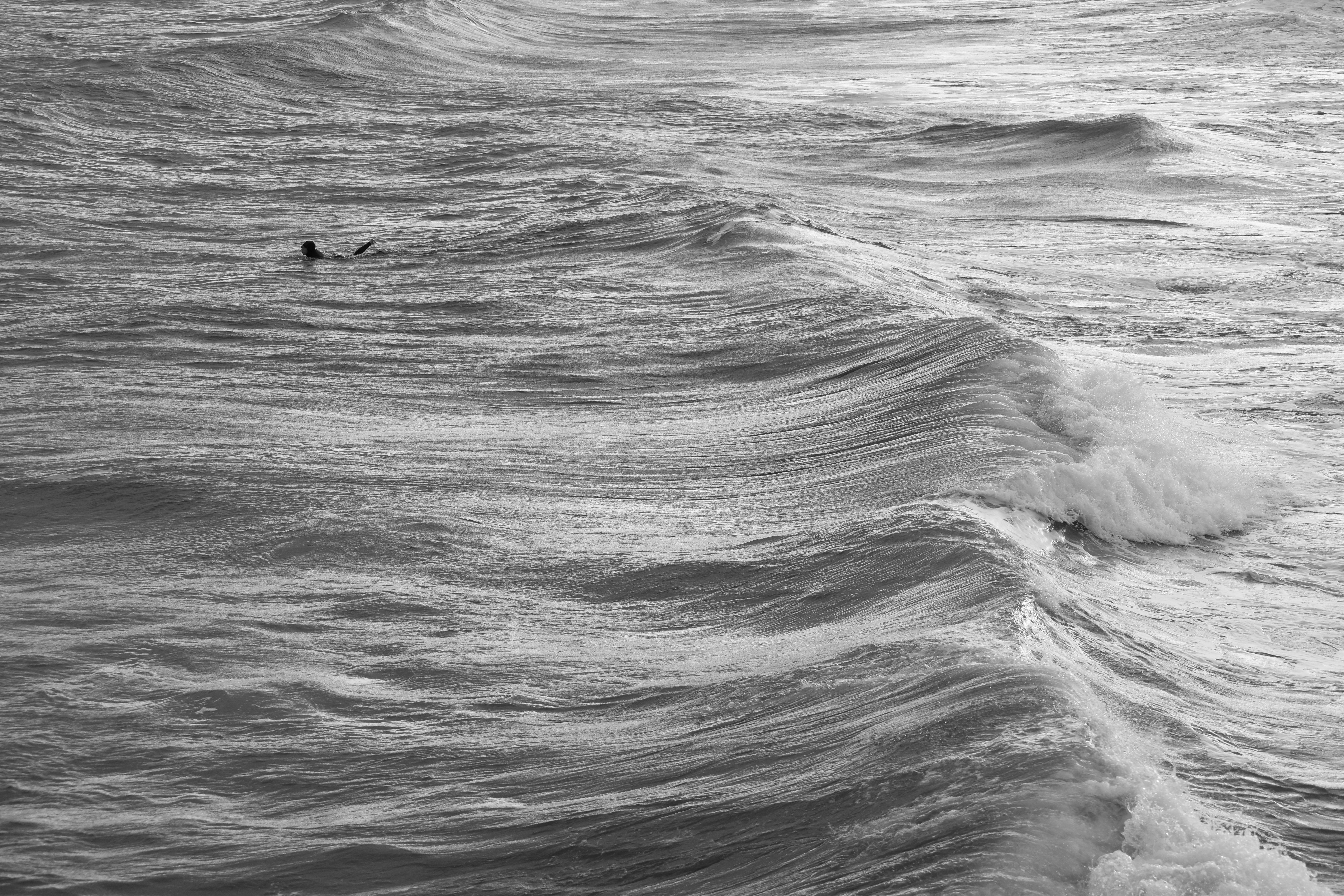 black and white waves 