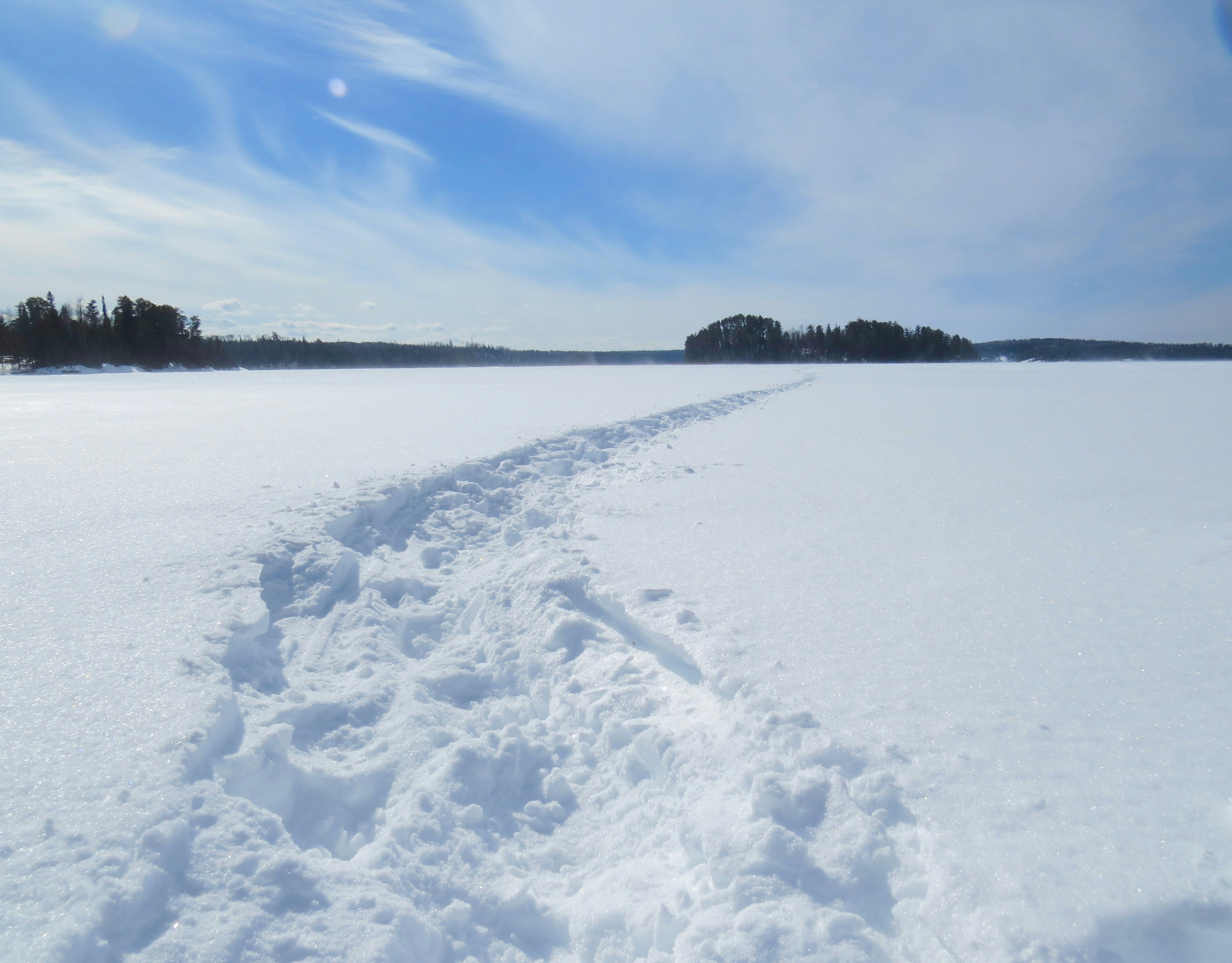 Footprints trail across a vast expanse of untouched snow under a clear blue sky, leading towards a distant forested island.