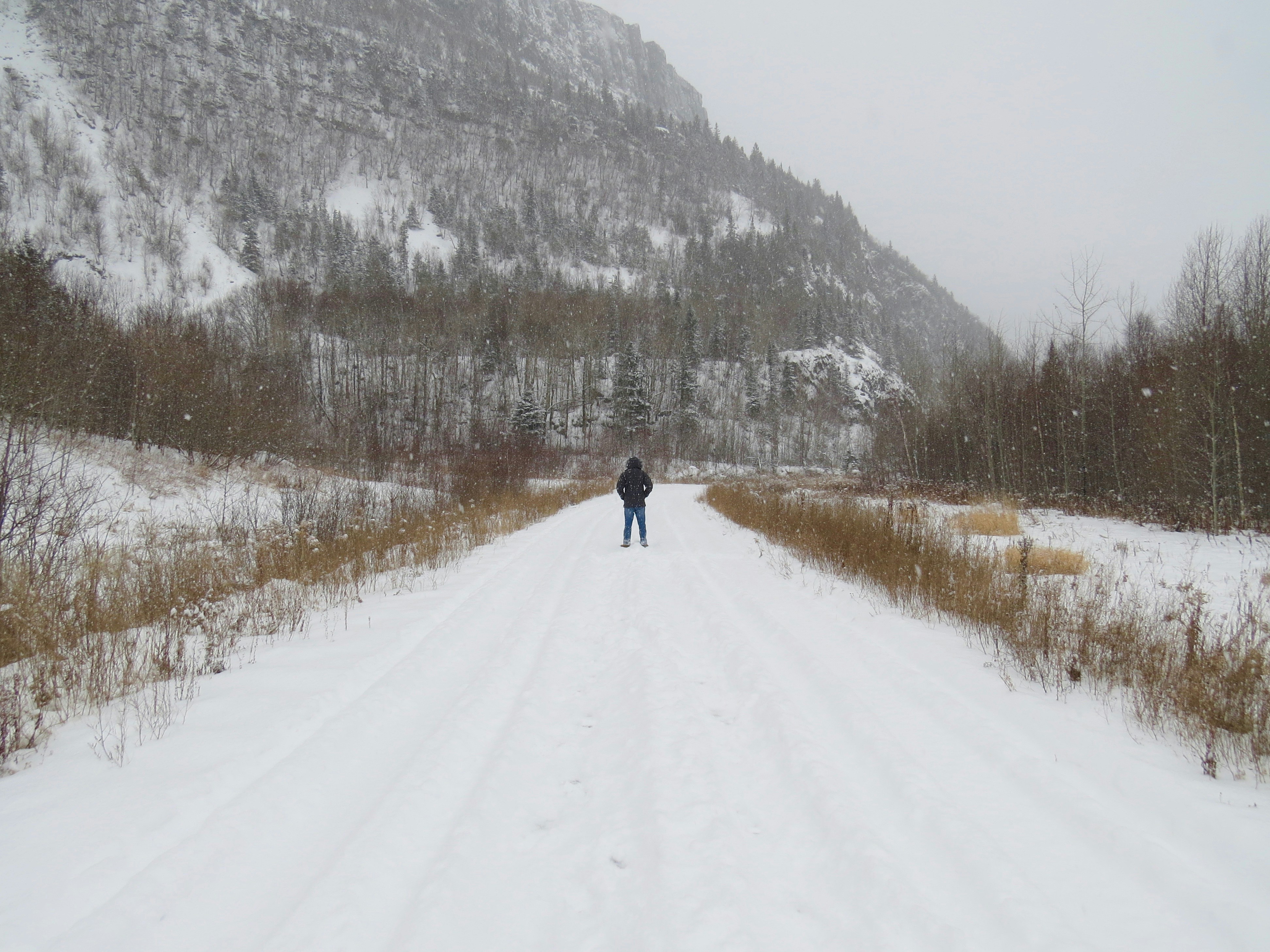 Centered on a Snowbound Path: A Lone Hiker Beneath Quiet Mountain Slopes