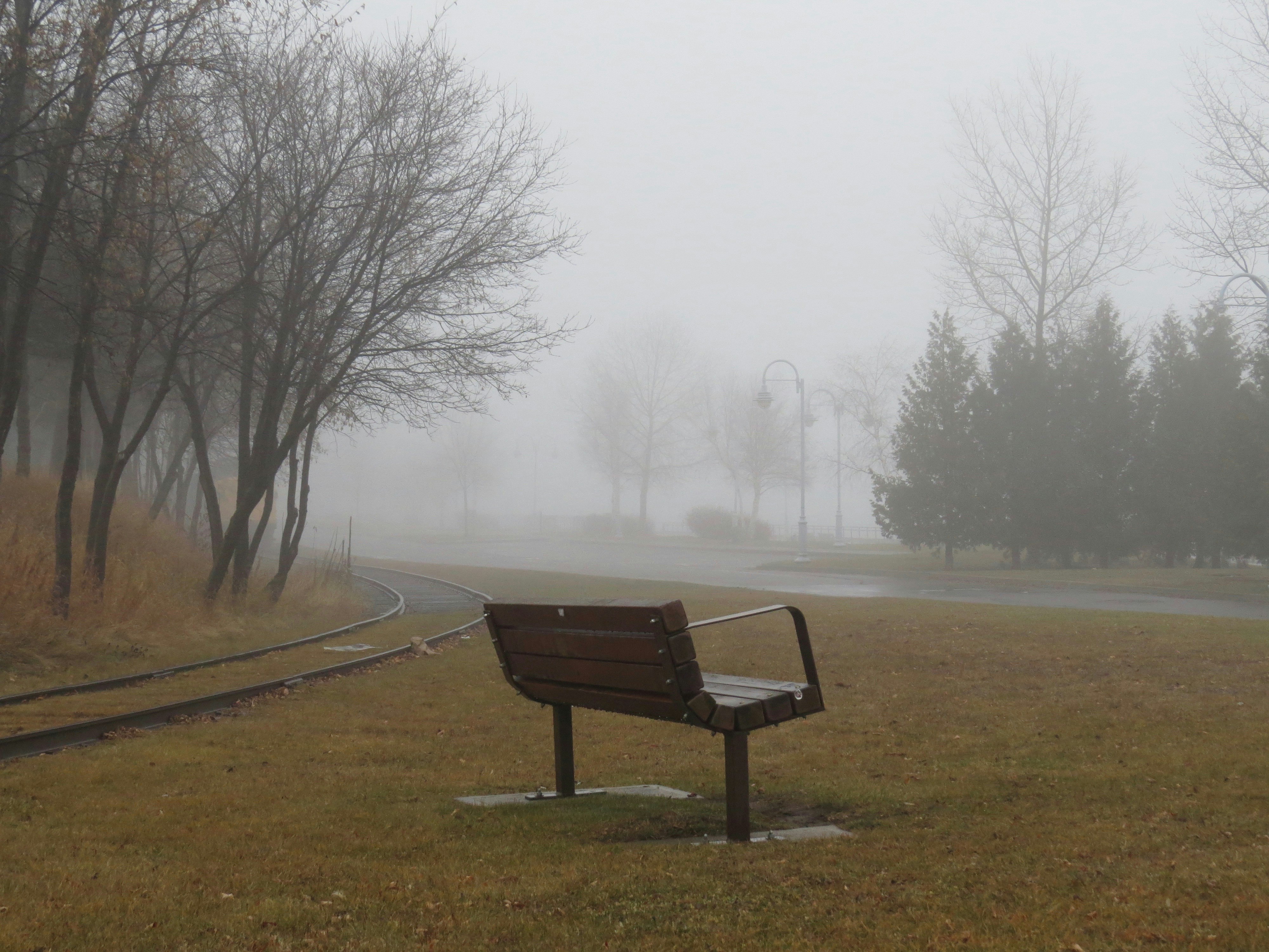 Lonely Bench on a Fog-Laced Park Path