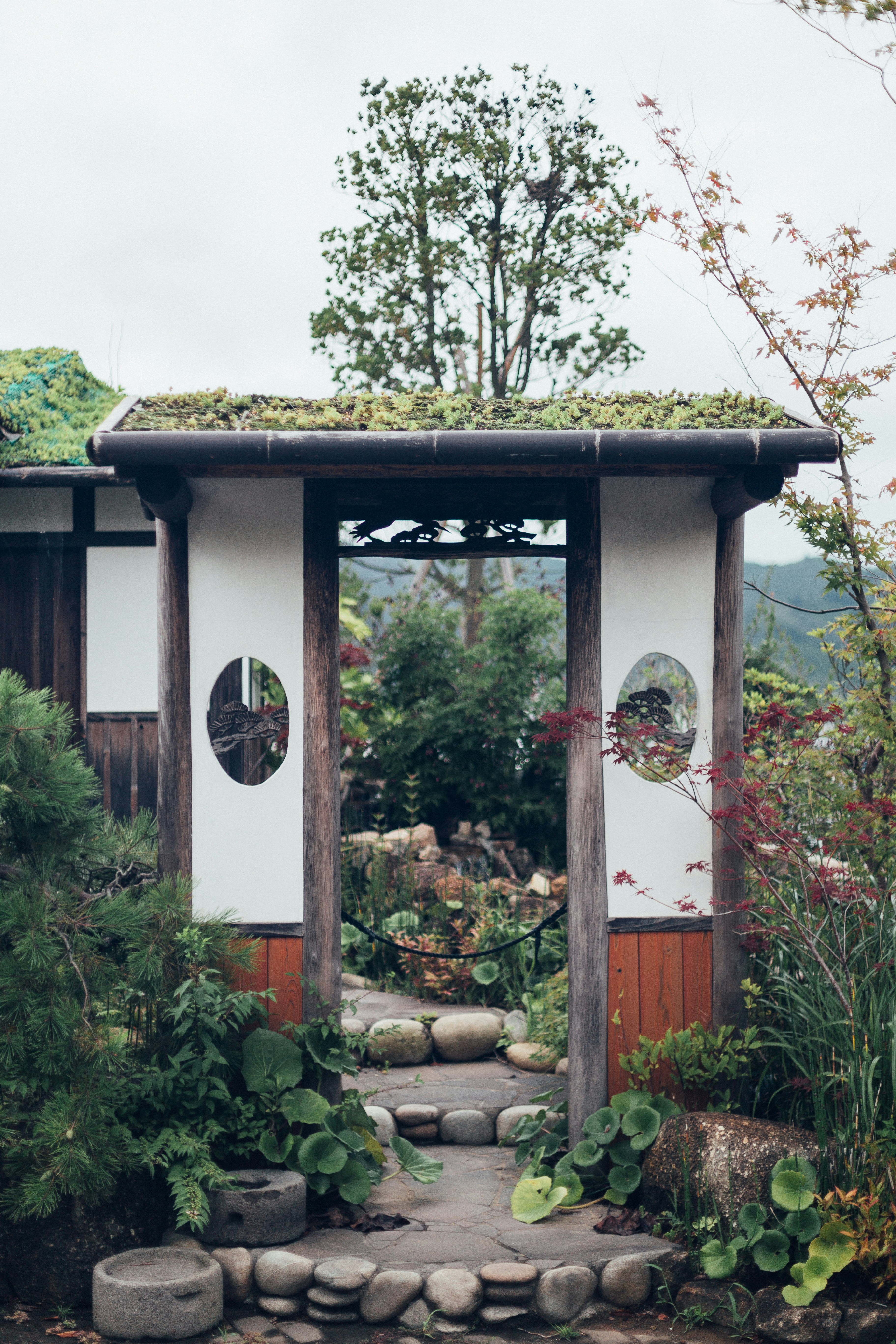 A friendly face in the Japanese countryside