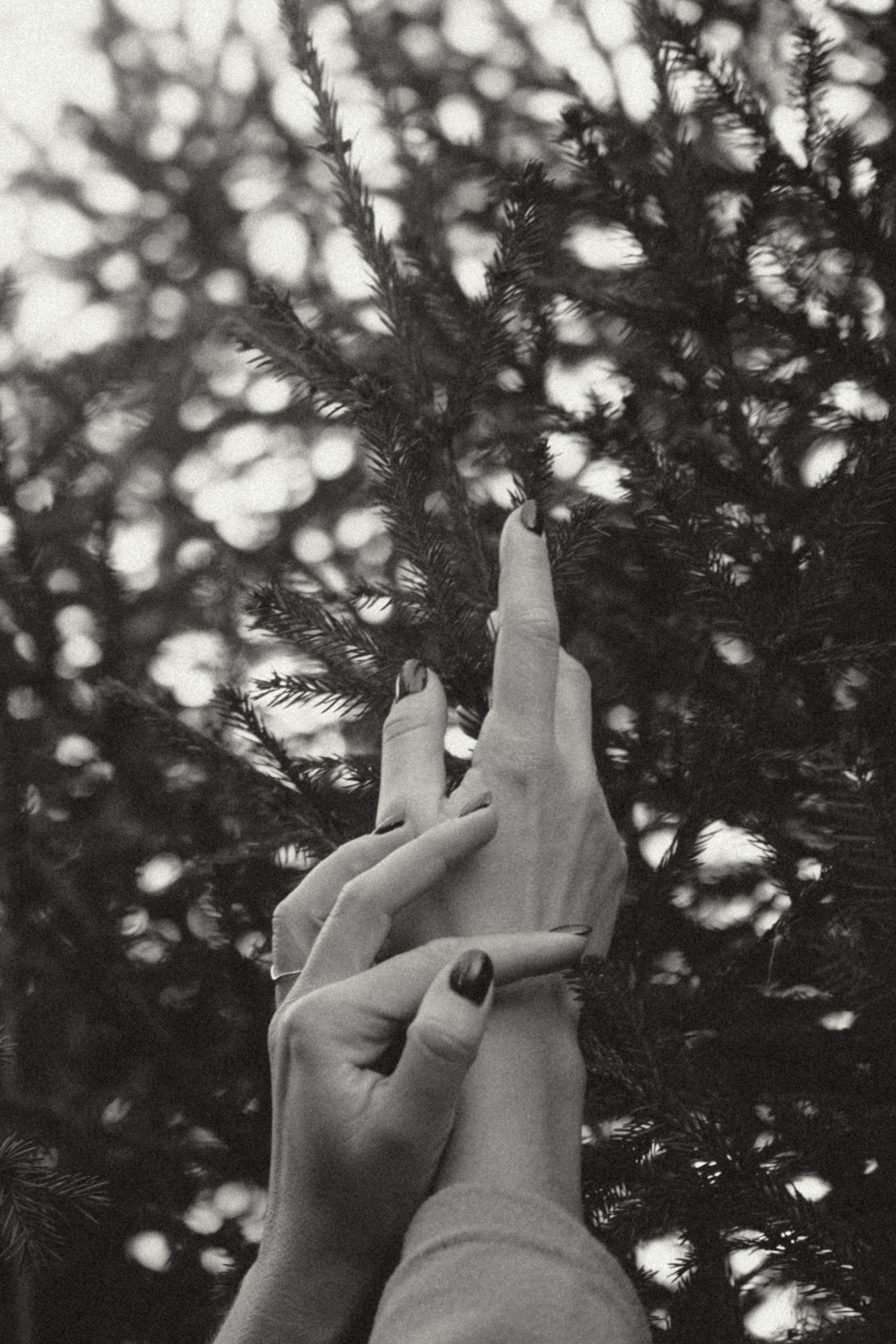 Grayscale photo of persons hand photo – Free Human Image on Unsplash