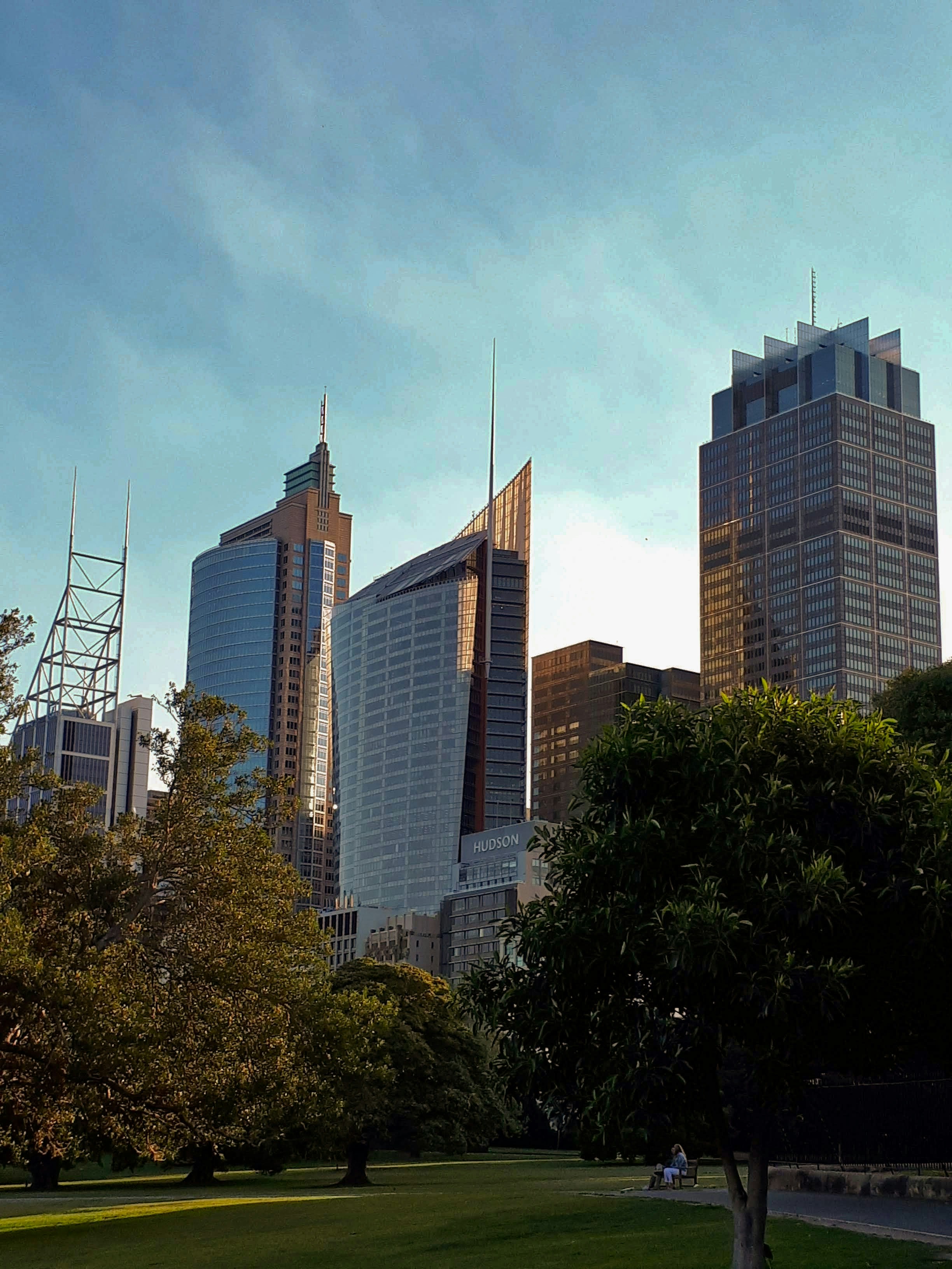 High rise buildings near green trees under blue sky during daytime ...