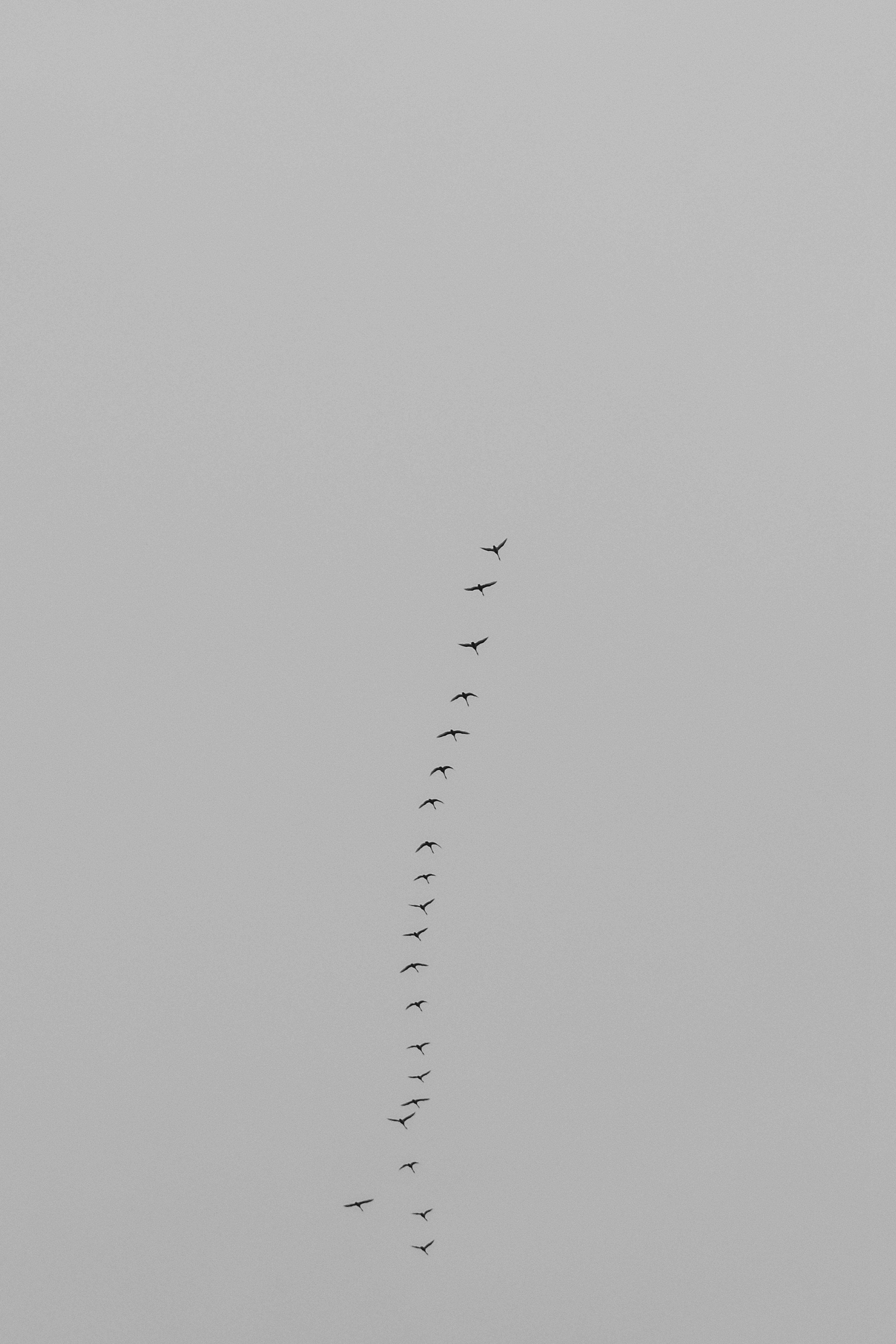 Vertical Chorus in a Pale Sky