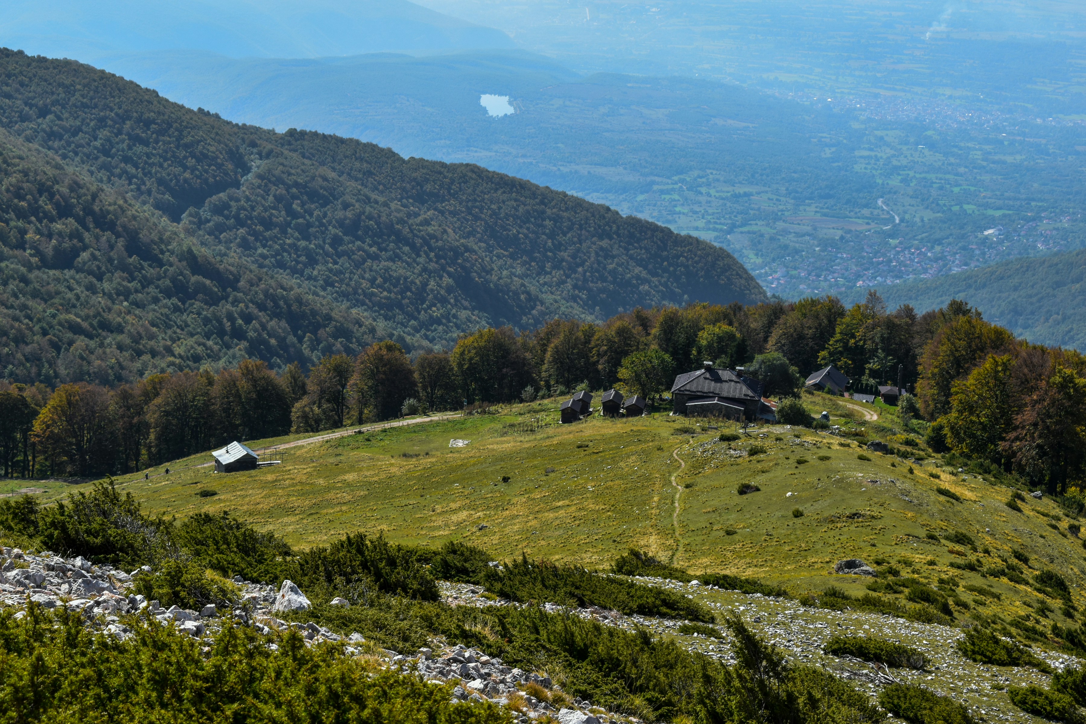 This captivating image showcases a tranquil alpine village nestled in lush green meadows, framed by majestic forested hills. The vibrant greens of the landscape contrast beautifully with the soft blues of the distant sky and lake, creating a peaceful atmosphere. The composition draws the viewer's eye along the winding path towards the rustic cabins, highlighting the harmony between nature and human habitation.