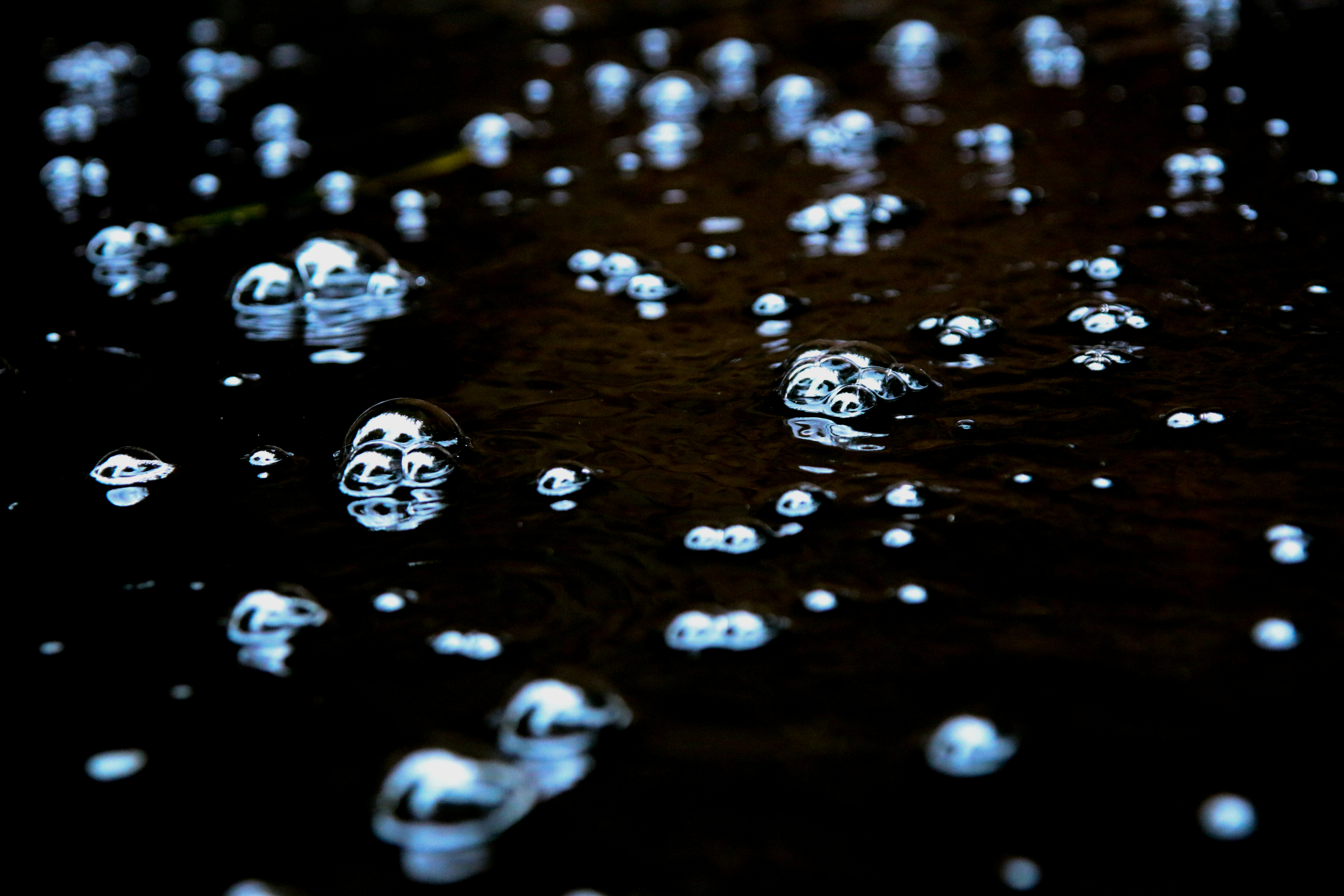 Bubbles floating on the surface of dark water, creating a mesmerizing display of reflections and shapes.