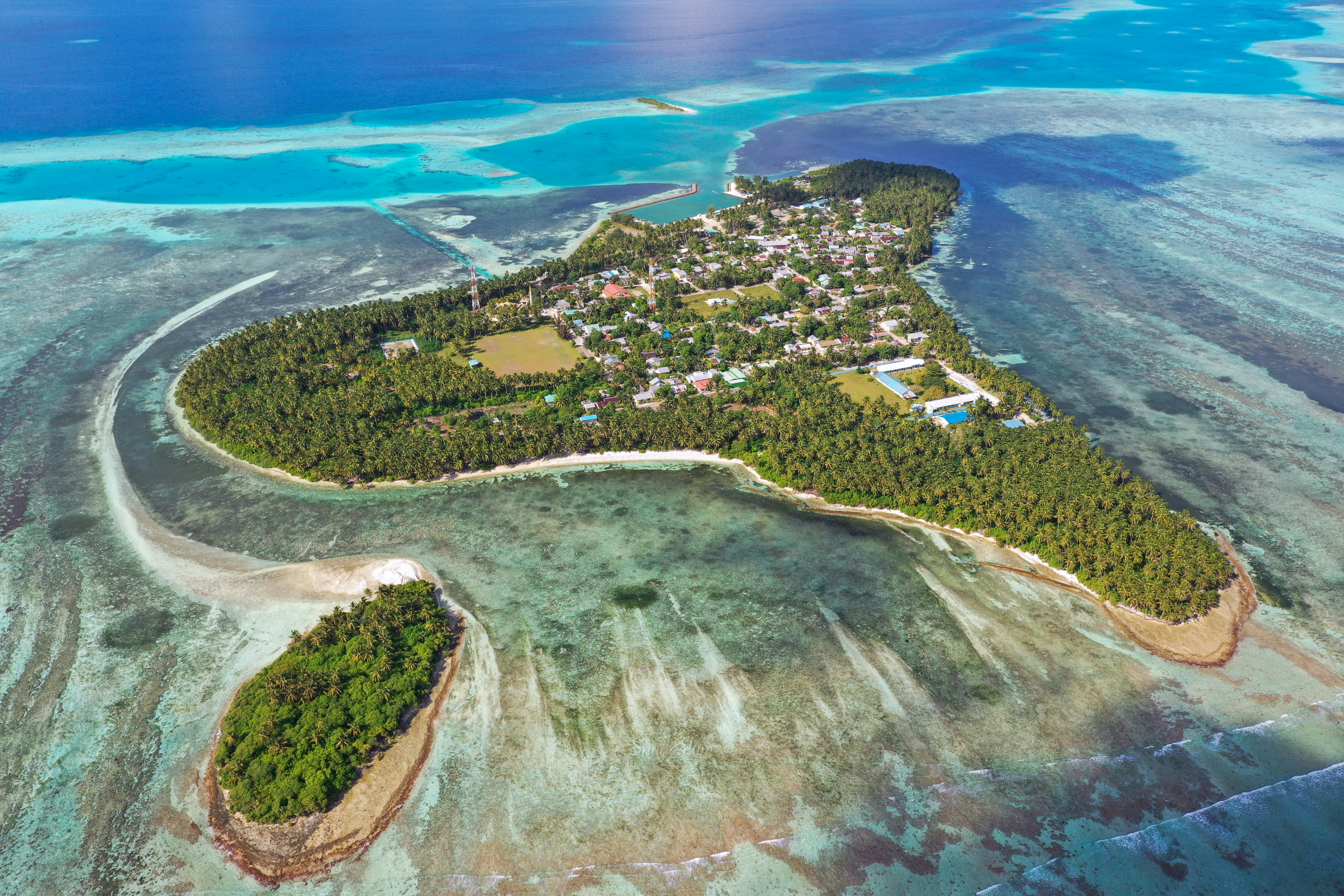 Aerial view of green trees and body of water during daytime photo ...