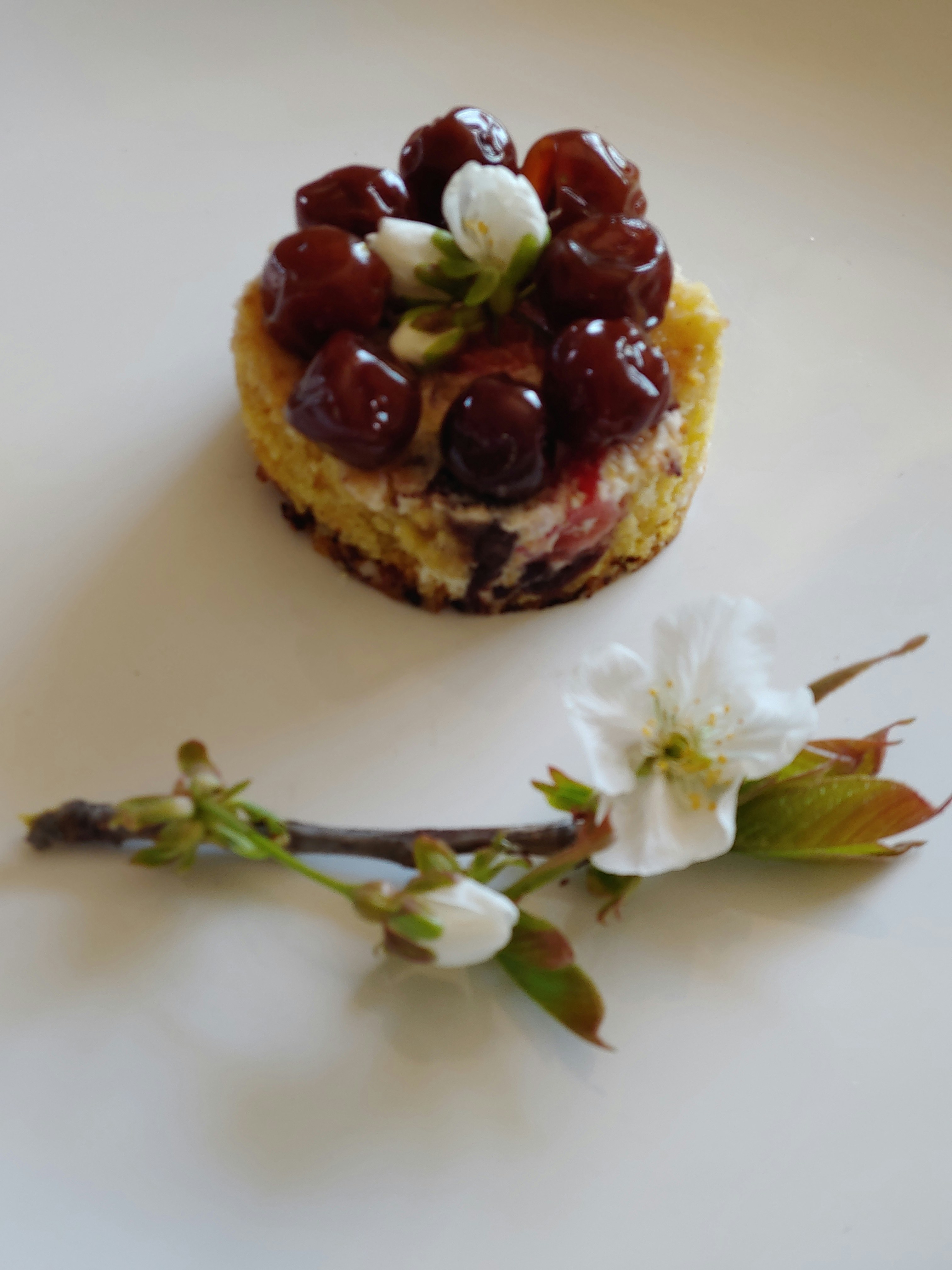 Cherry Cream Cheesecake Ring with Floral Accent