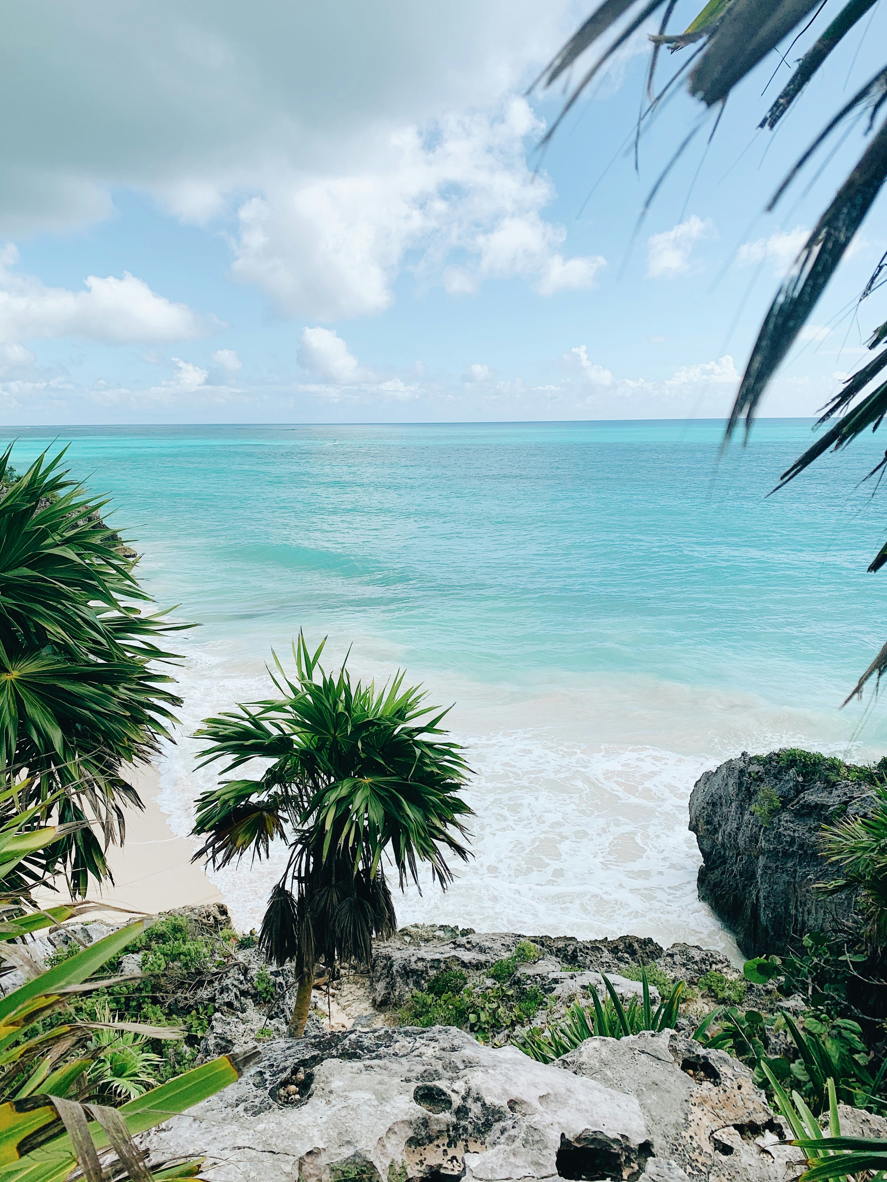 Lush palm trees frame a tranquil beach scene with turquoise waters gently lapping at the shore. A rocky outcrop adds texture to the sandy coastline.
