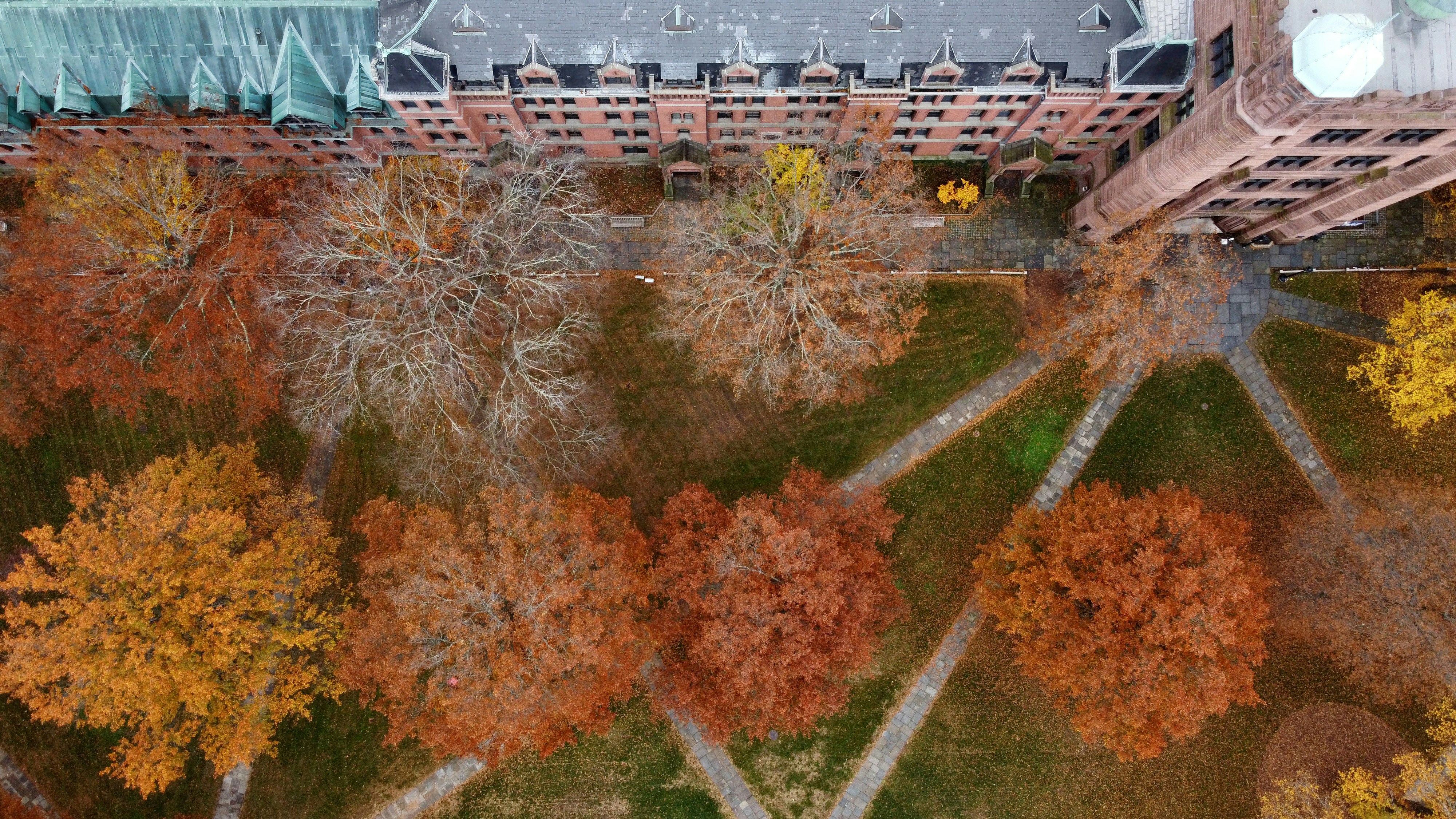 Aerial perspective showcasing a tapestry of autumn foliage with a historic building in the background. The vibrant colors of the trees create a striking contrast against the architecture.