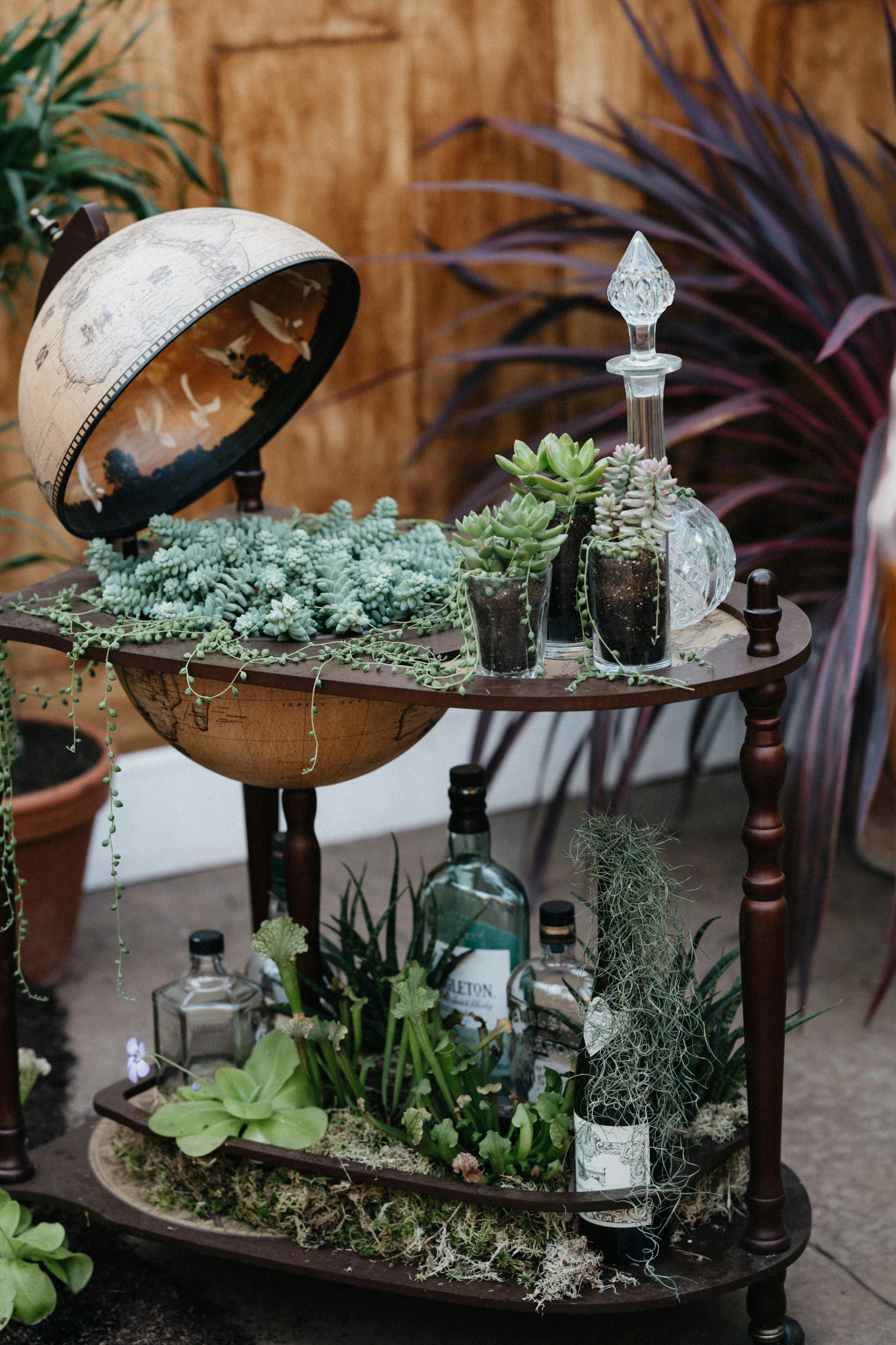 Globe, Glass, and Greenery: A Vintage Table Still-Life