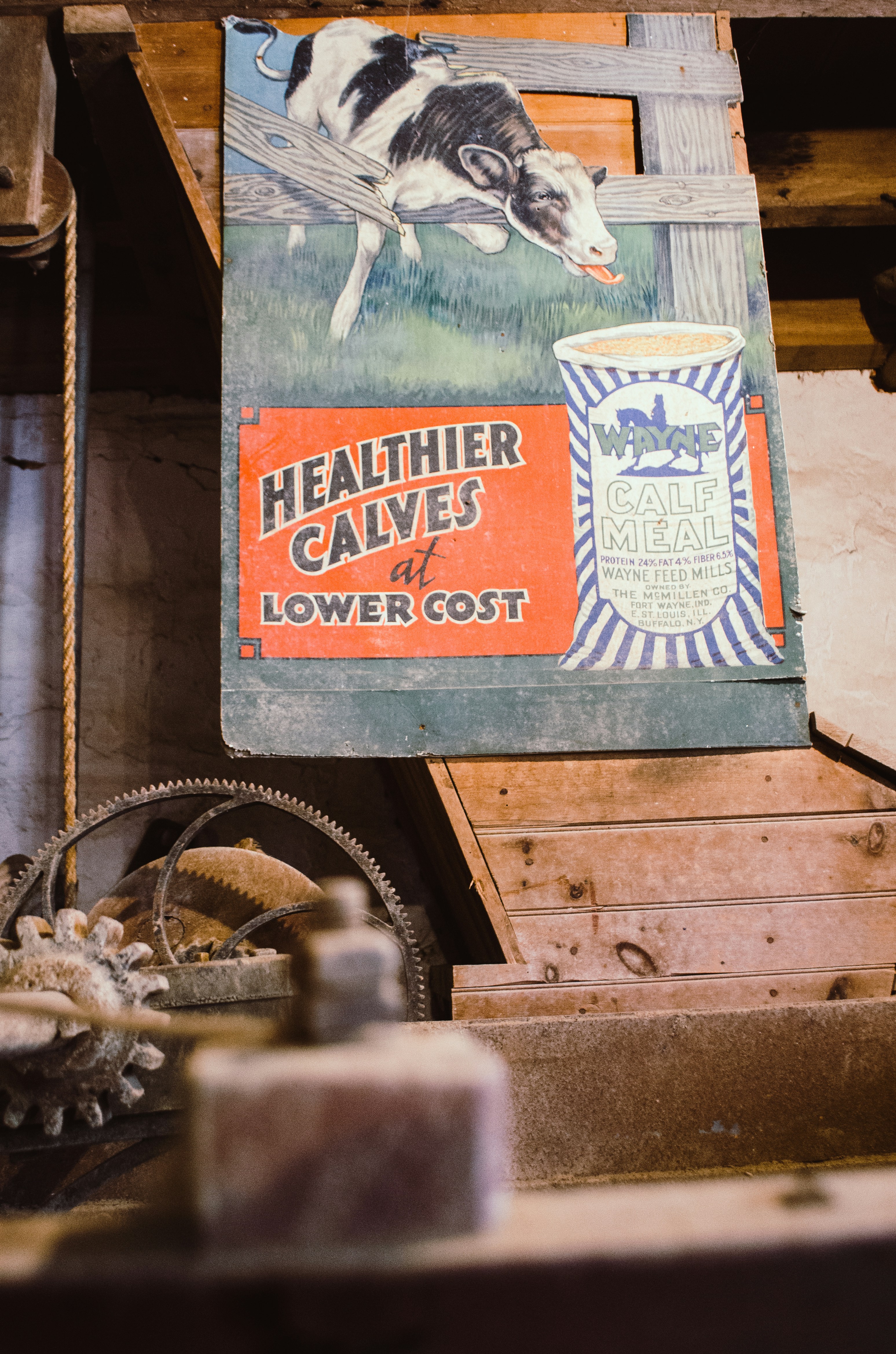 Dusty Barn Sign: Plucky Cow Ad Staring Down the Mechanized Gears