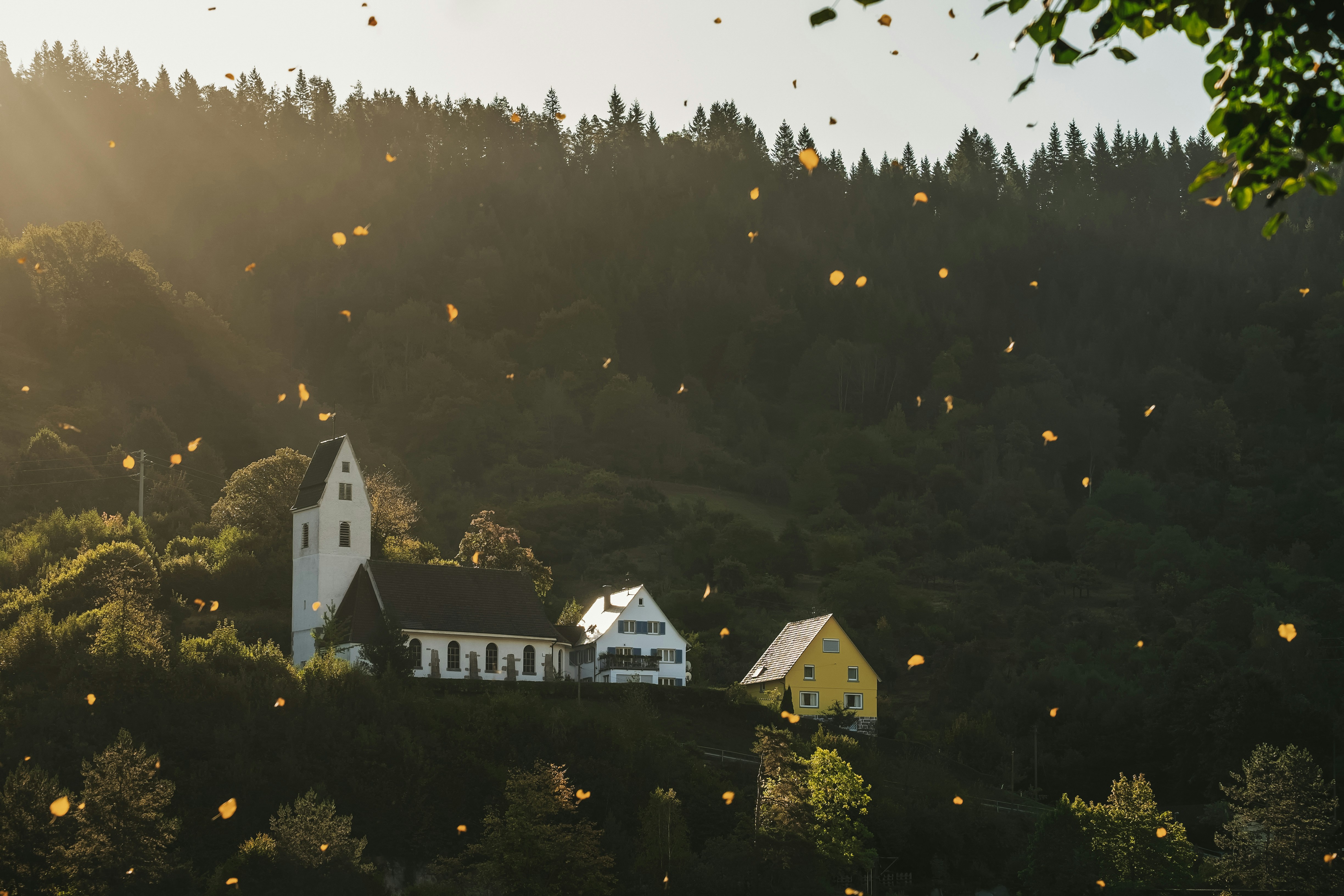 Hilltop Chapel in Autumn Goldlight, Surrounded by Silent Pines