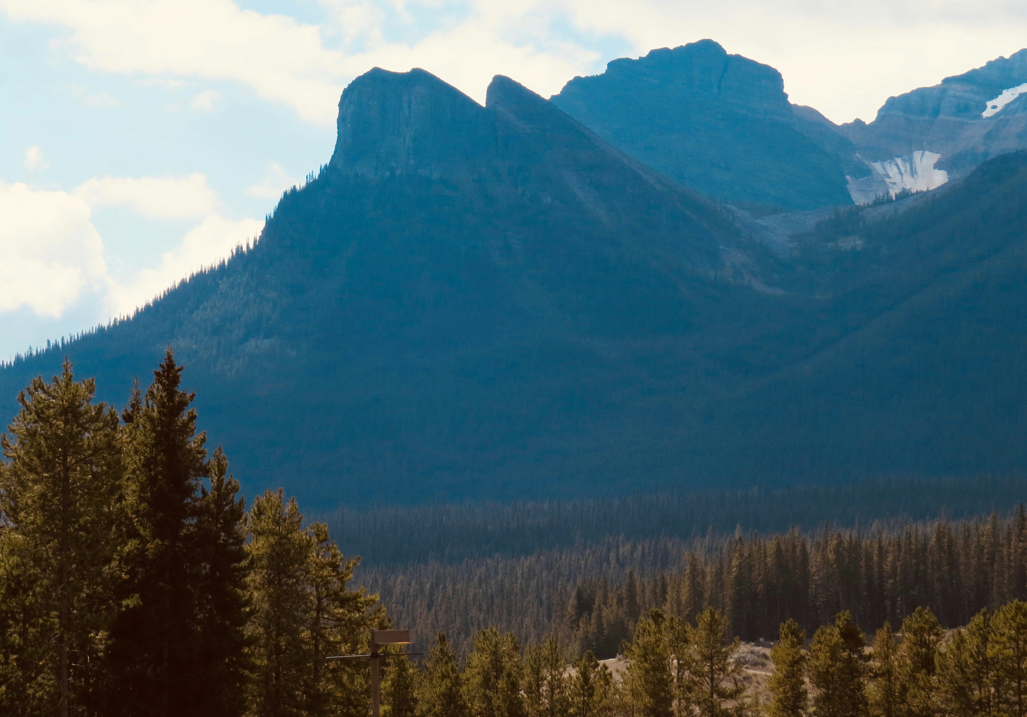 Majestic Peak Over a Pine Forest