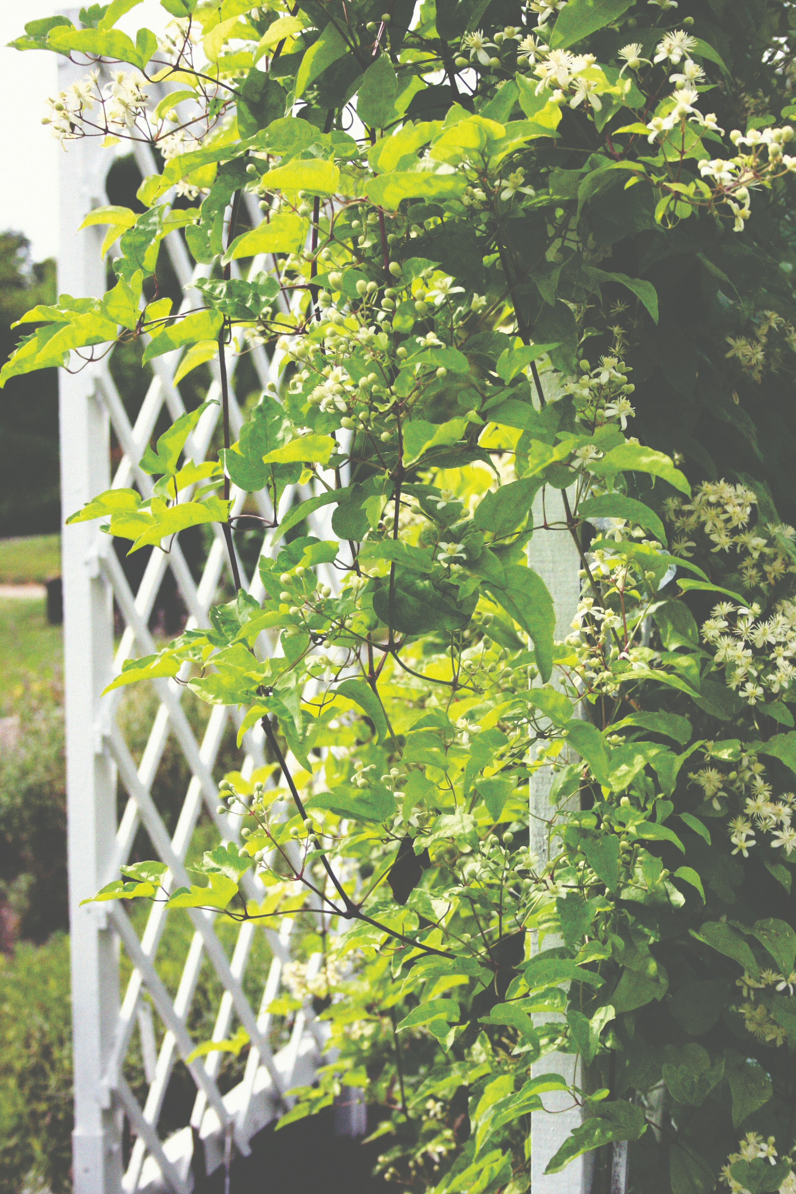 Photo by Eivarain with Canon EOS 400D