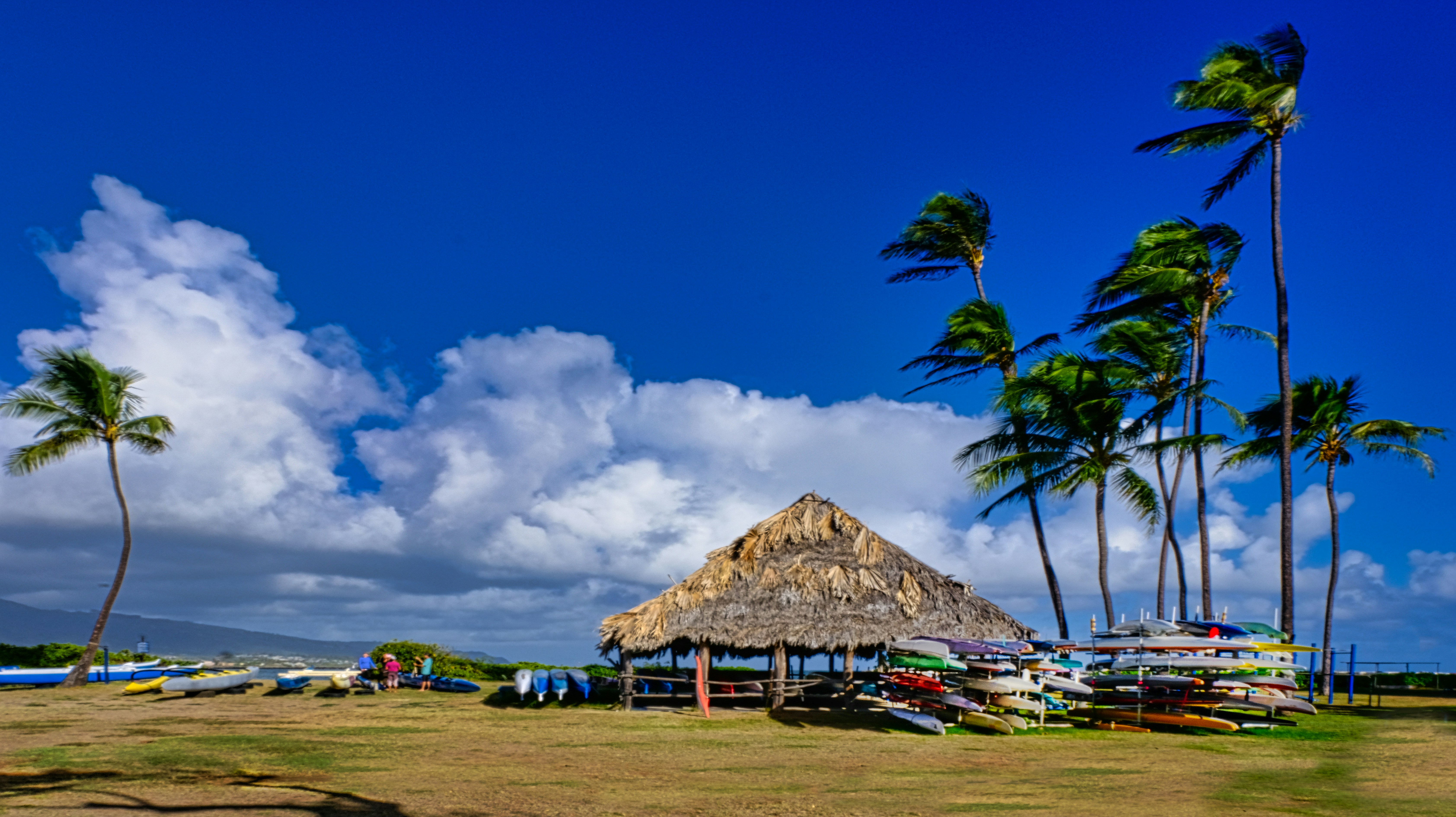 Canoes and a traditional hale structure beneath swaying palm trees and vibrant blue skies.