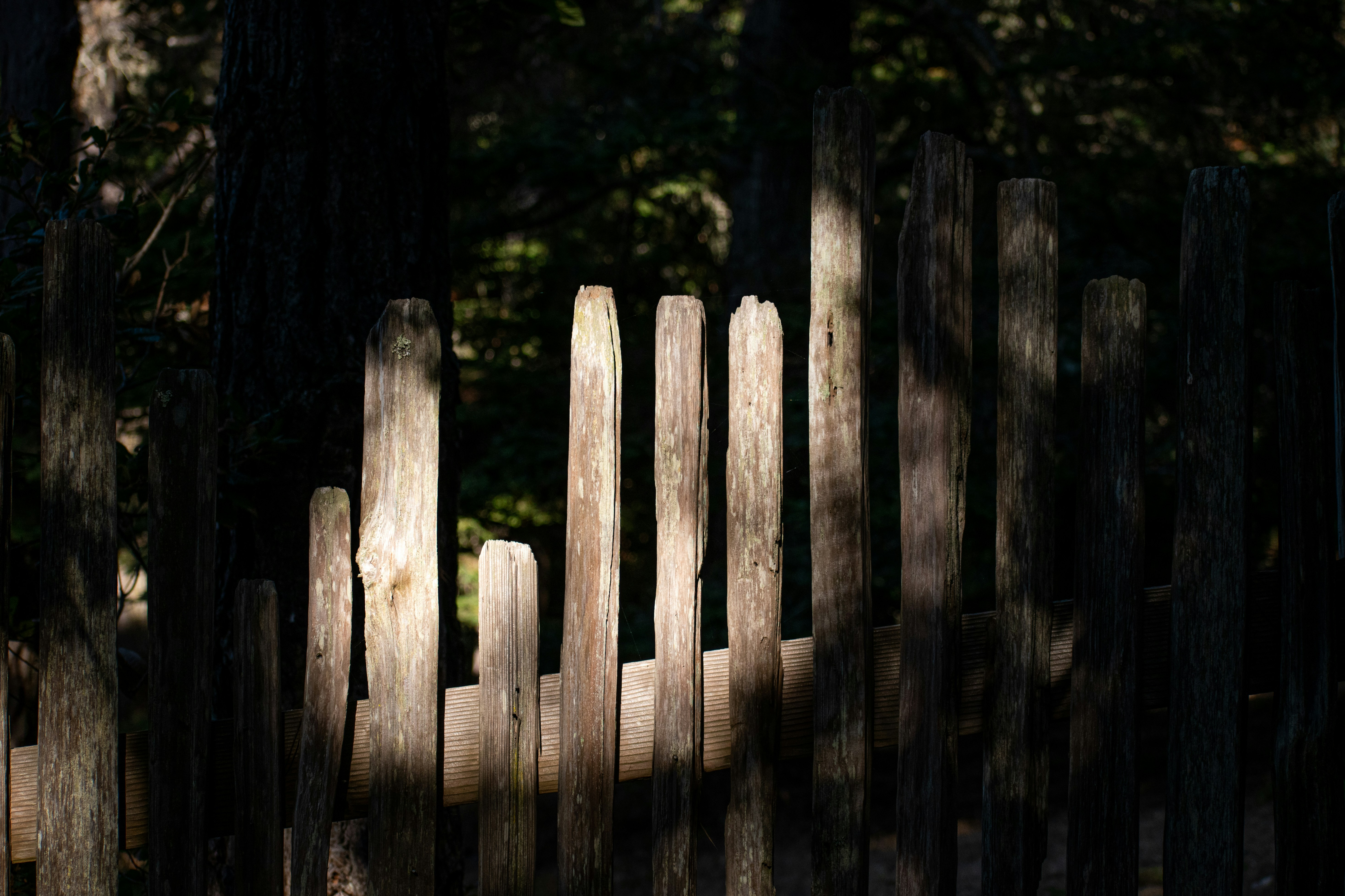 A close up of a wooden fence with trees in the background photo – Free ...