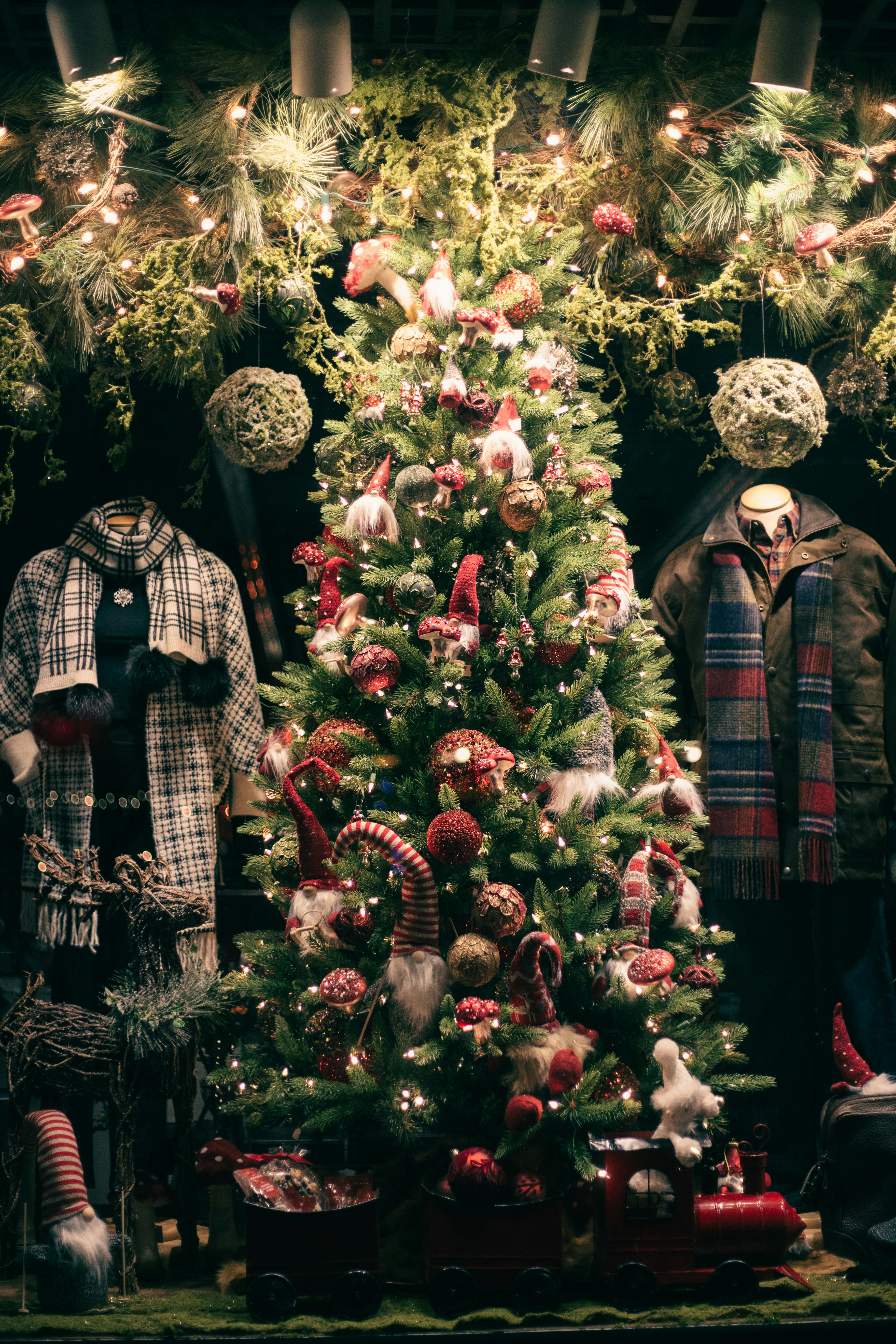 Centerpiece in Velvet Winter: A Christmas Tree Framed by Cozy Coat Displays
