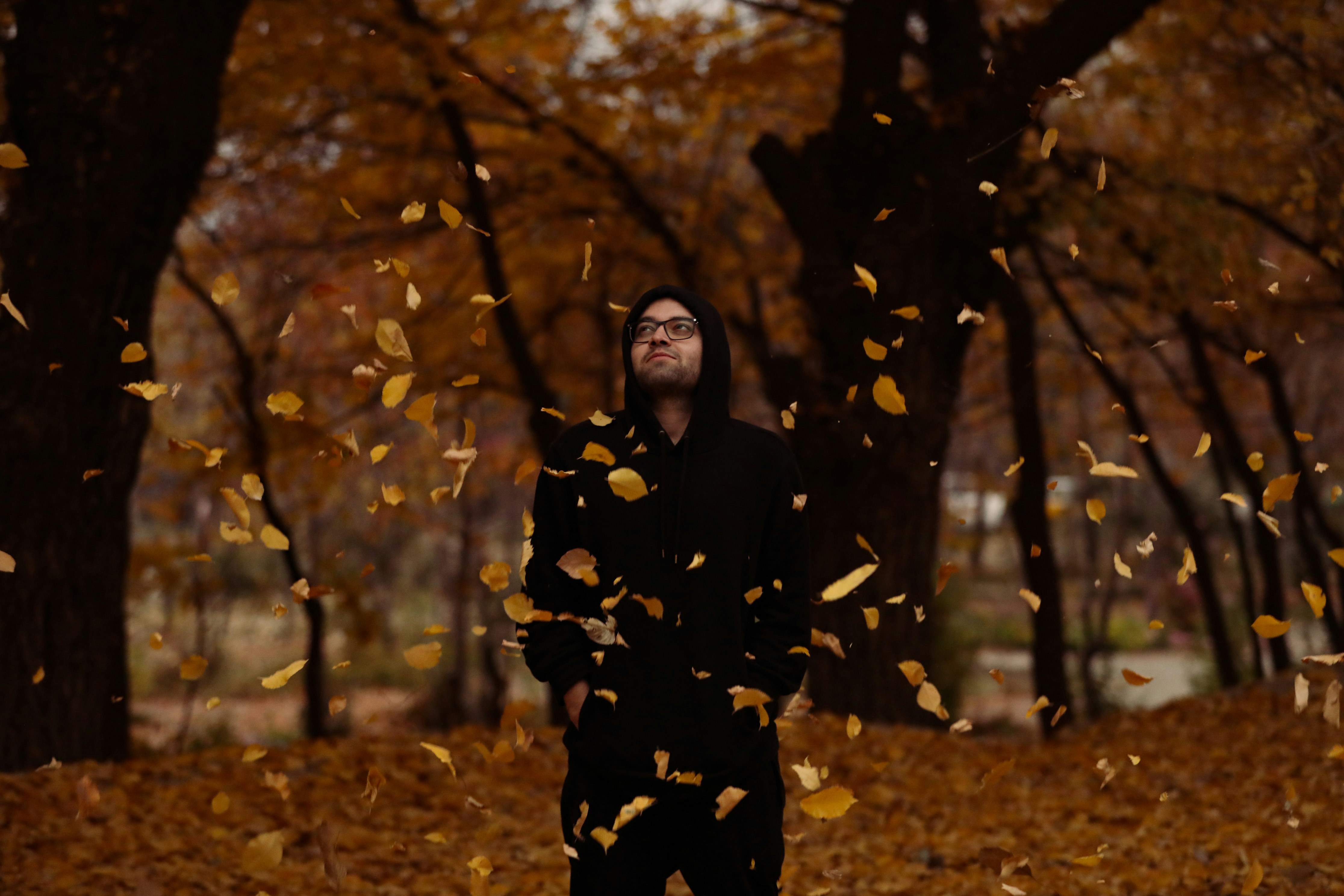 Person standing in a forest surrounded by falling autumn leaves.