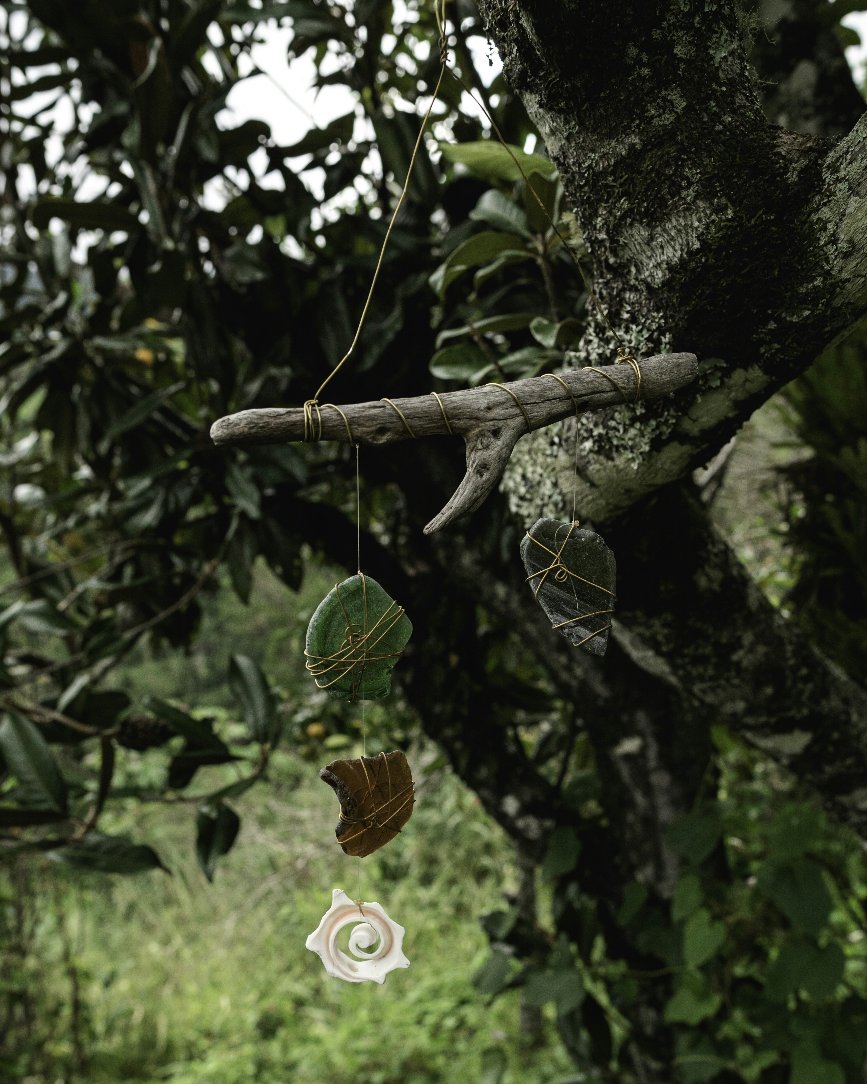 Twine-Wrapped Leaves Dangling from a Mossy Branch in Quiet Green Light