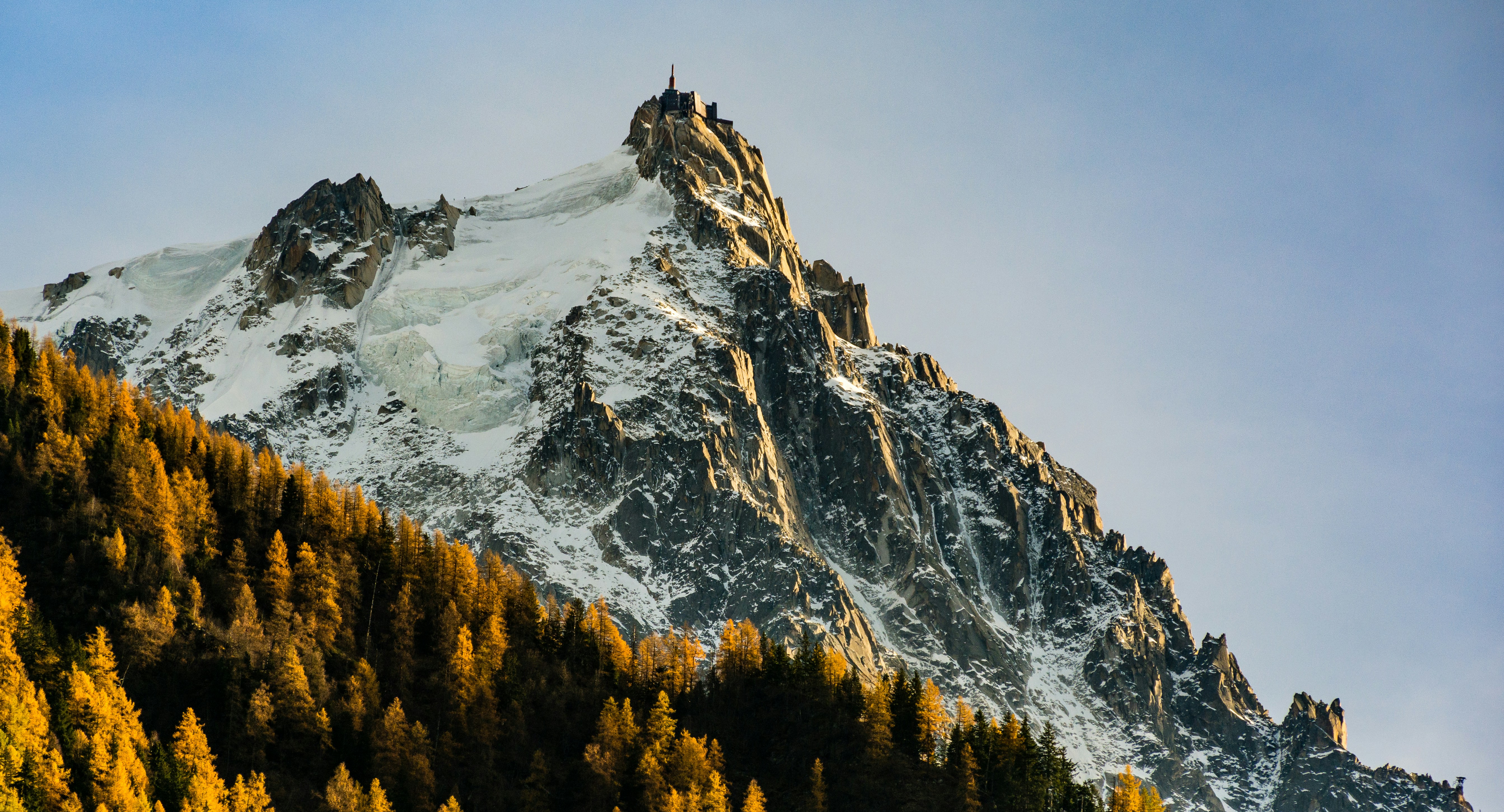 Golden Dawn Crown Over a Pine-Framed Alpine Peak