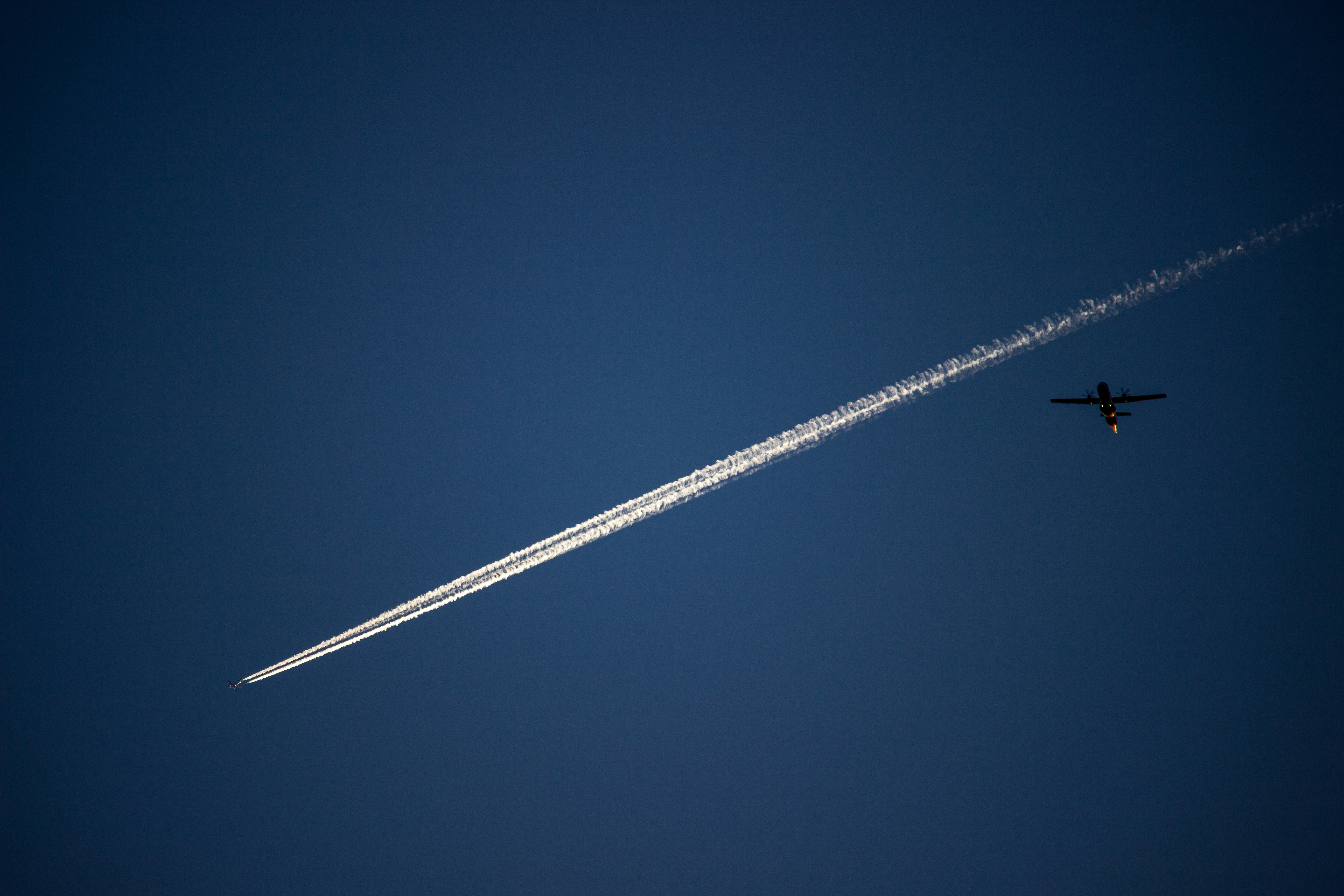 Skyward Journey: The Art of Flight