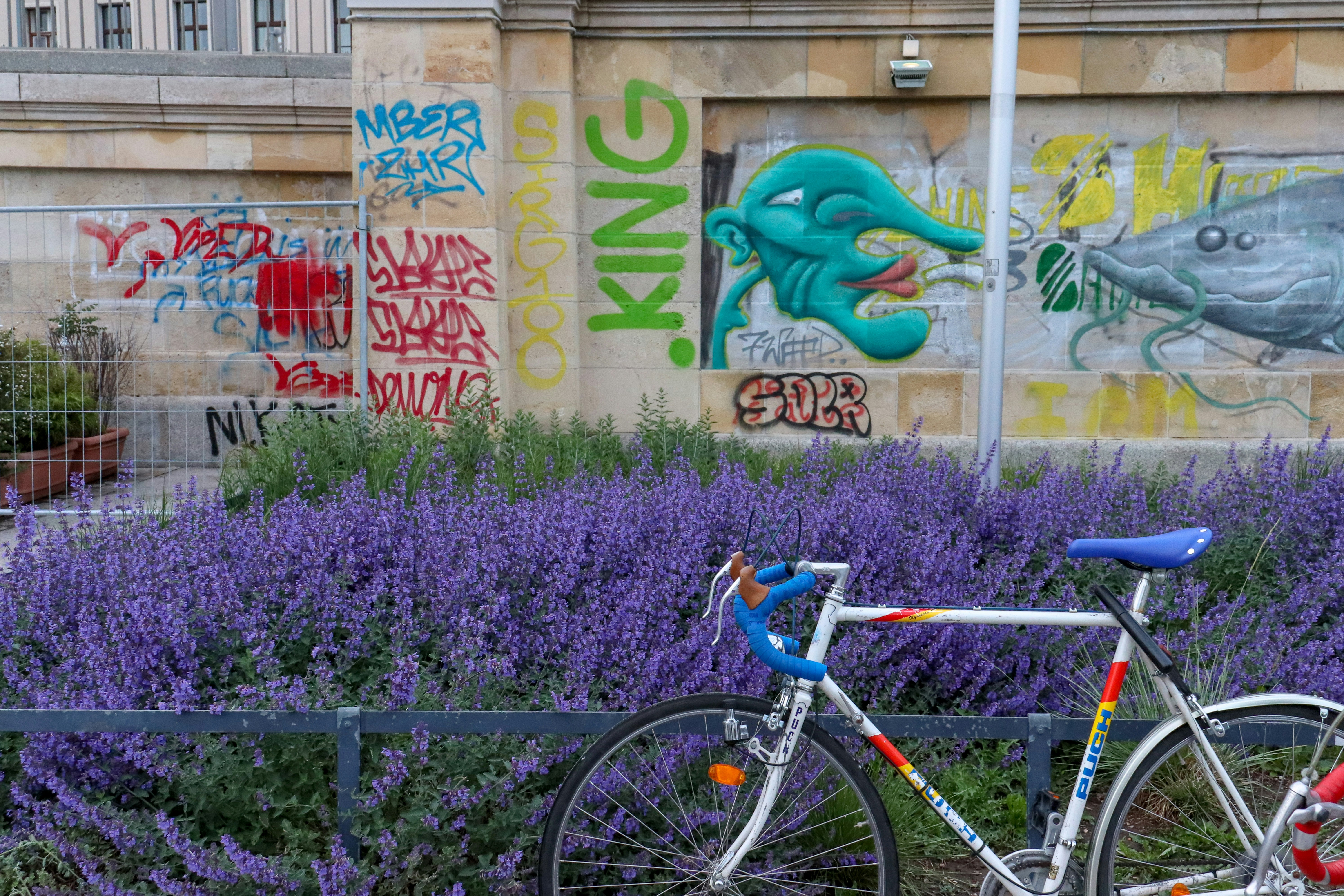 black and blue city bike parked beside purple flowers
