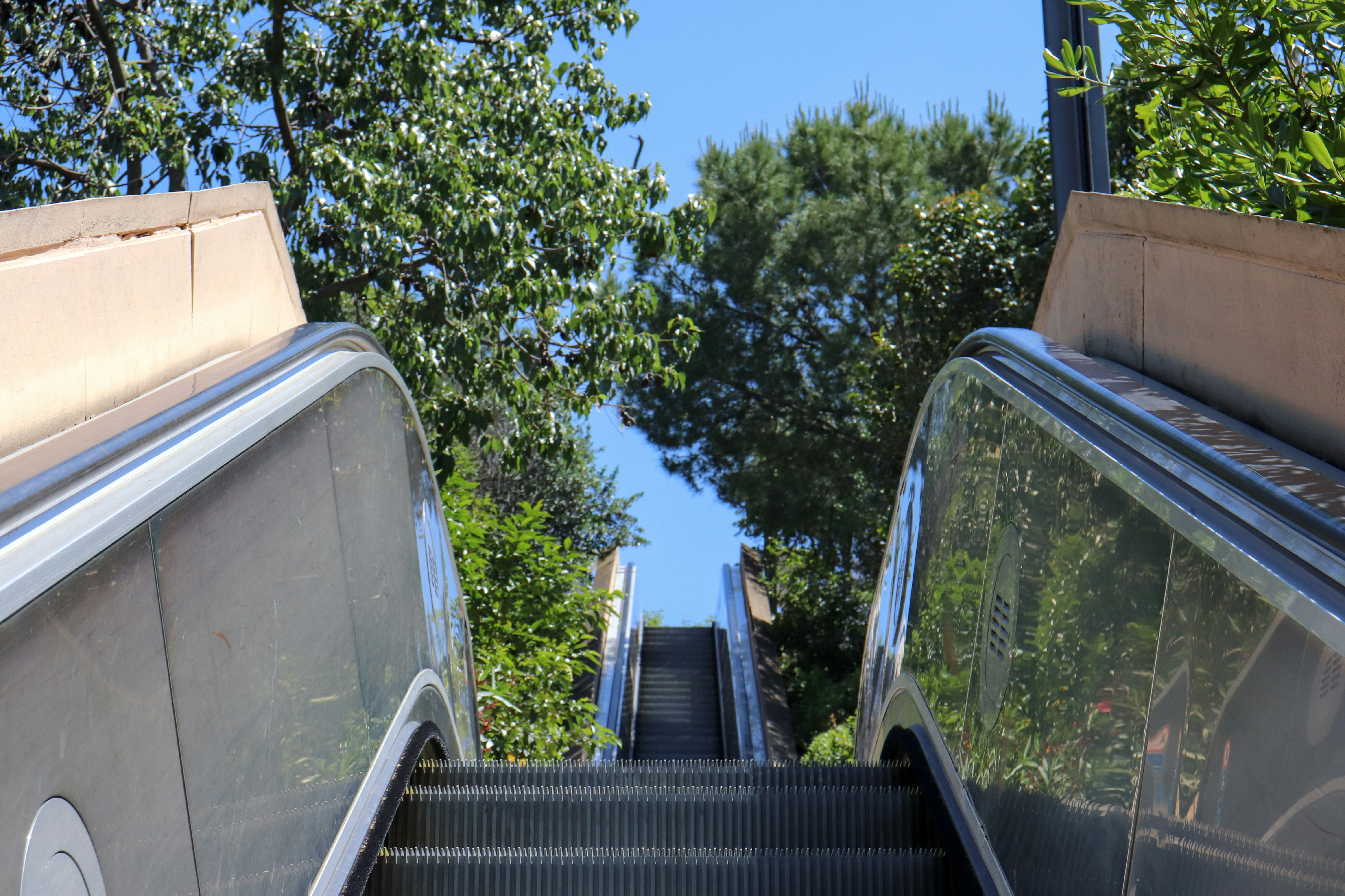 Convergence at Skyward Steps: An Outdoor Escalator Framed by Trees