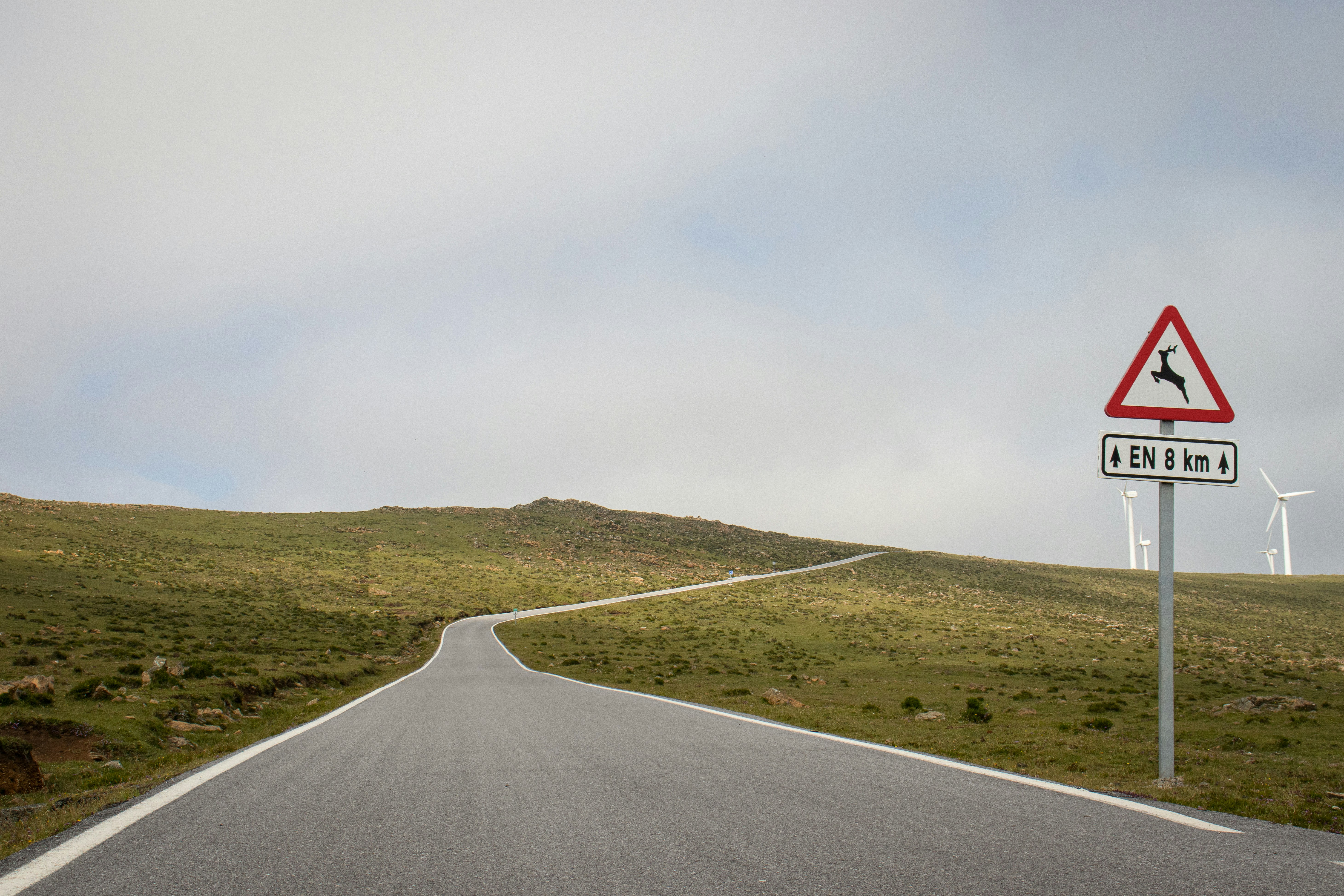 Deserted Highway toward the Windward Horizon