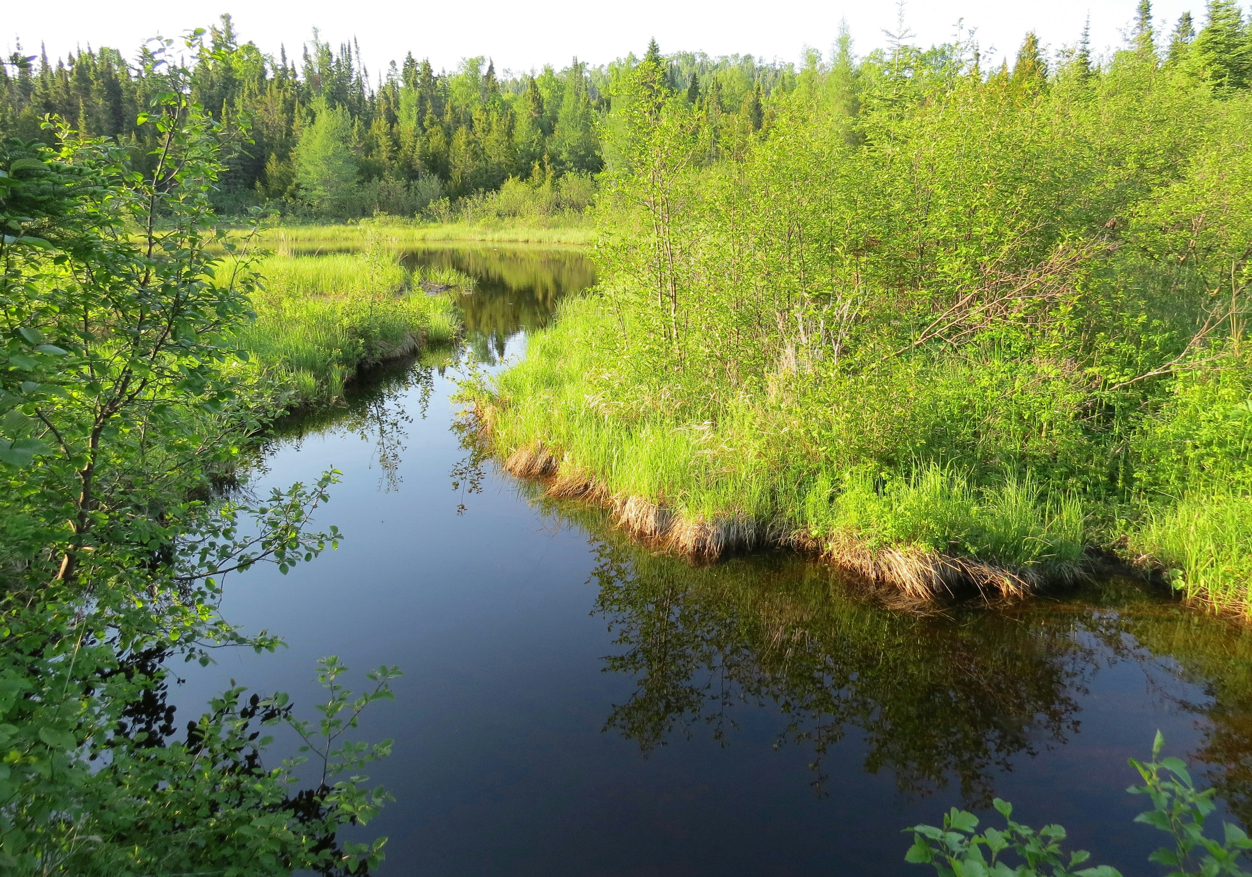 Green grass near river during daytime photo – Free Outdoors Image on ...