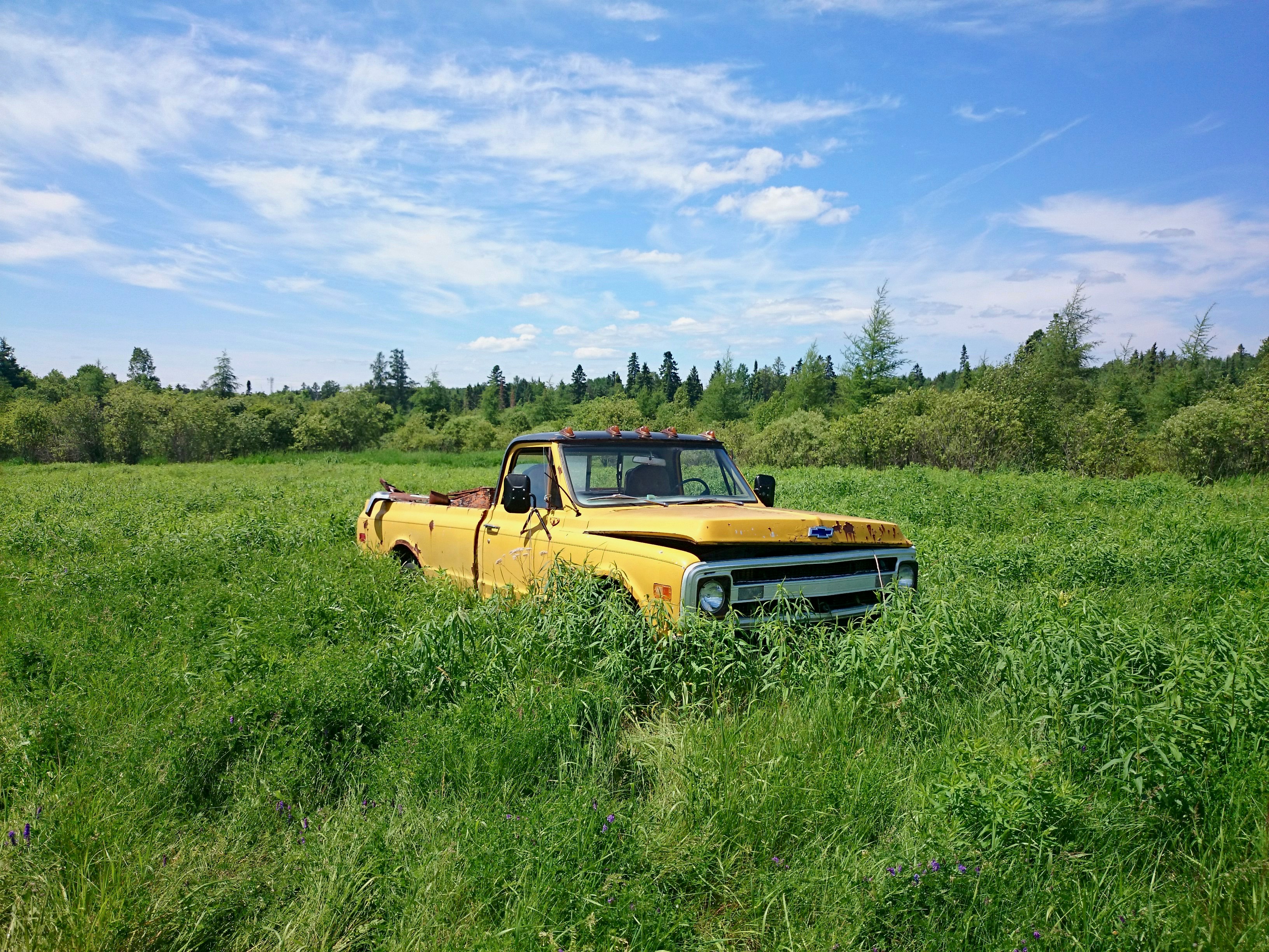 Yellow Vintage Pickup Paused in an Emerald Field Beneath a Wide Summer Sky