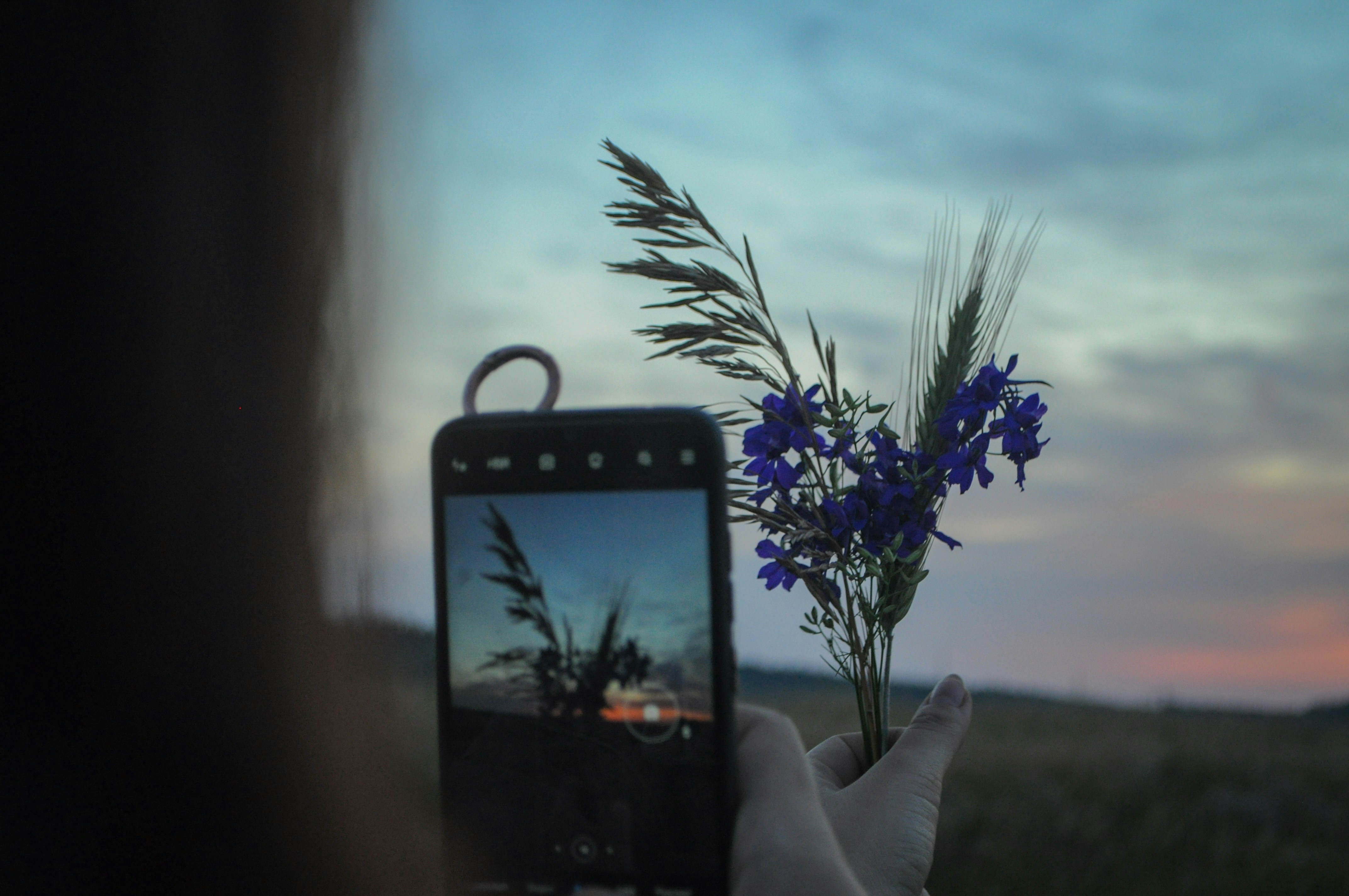 Indigo Bouquet at Dusk: A Handheld Moment Framed by a Phone Screen