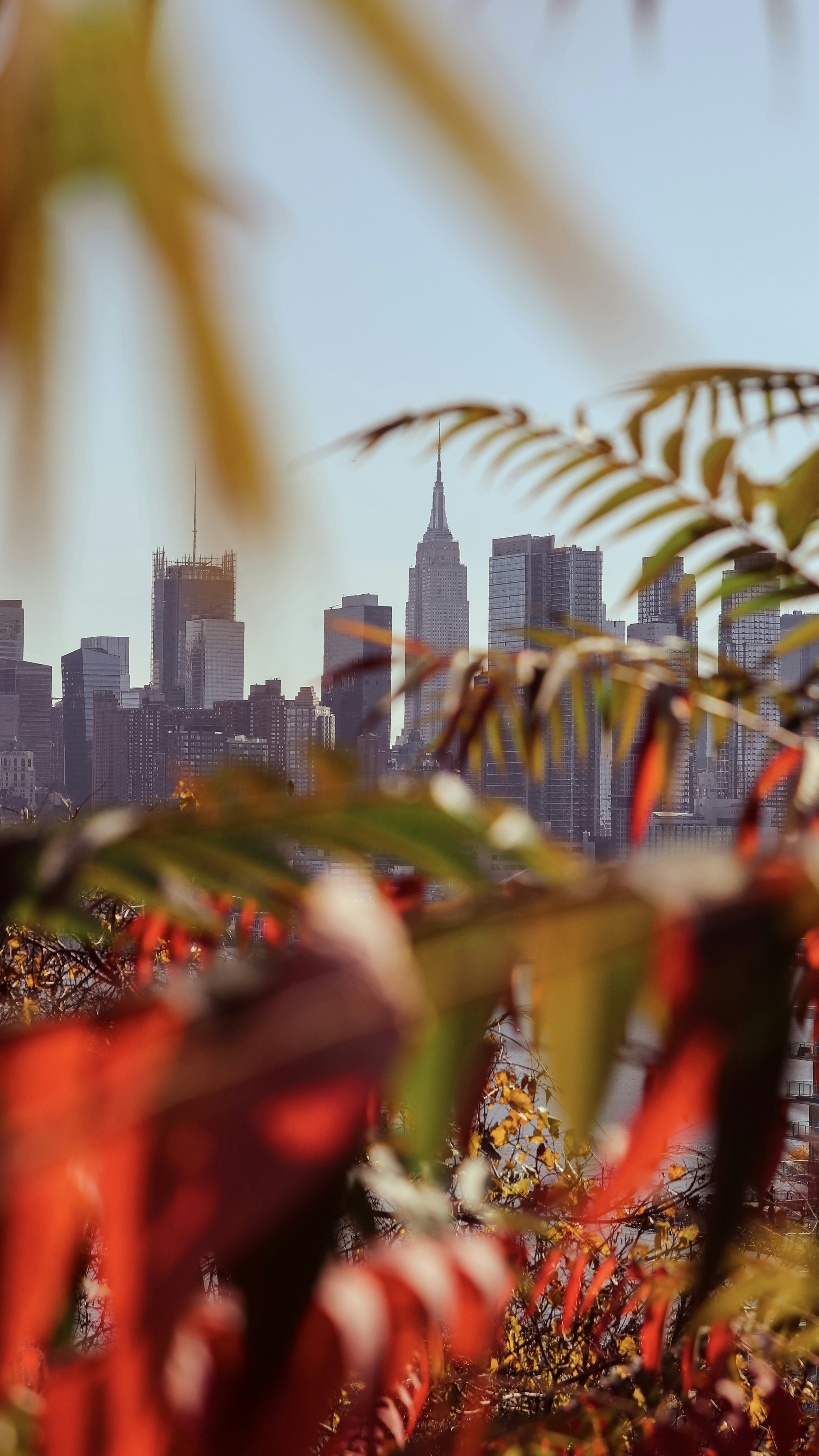 Autumn Framing Over the Skyline: Leaves Lead the Eye to the Central Tower