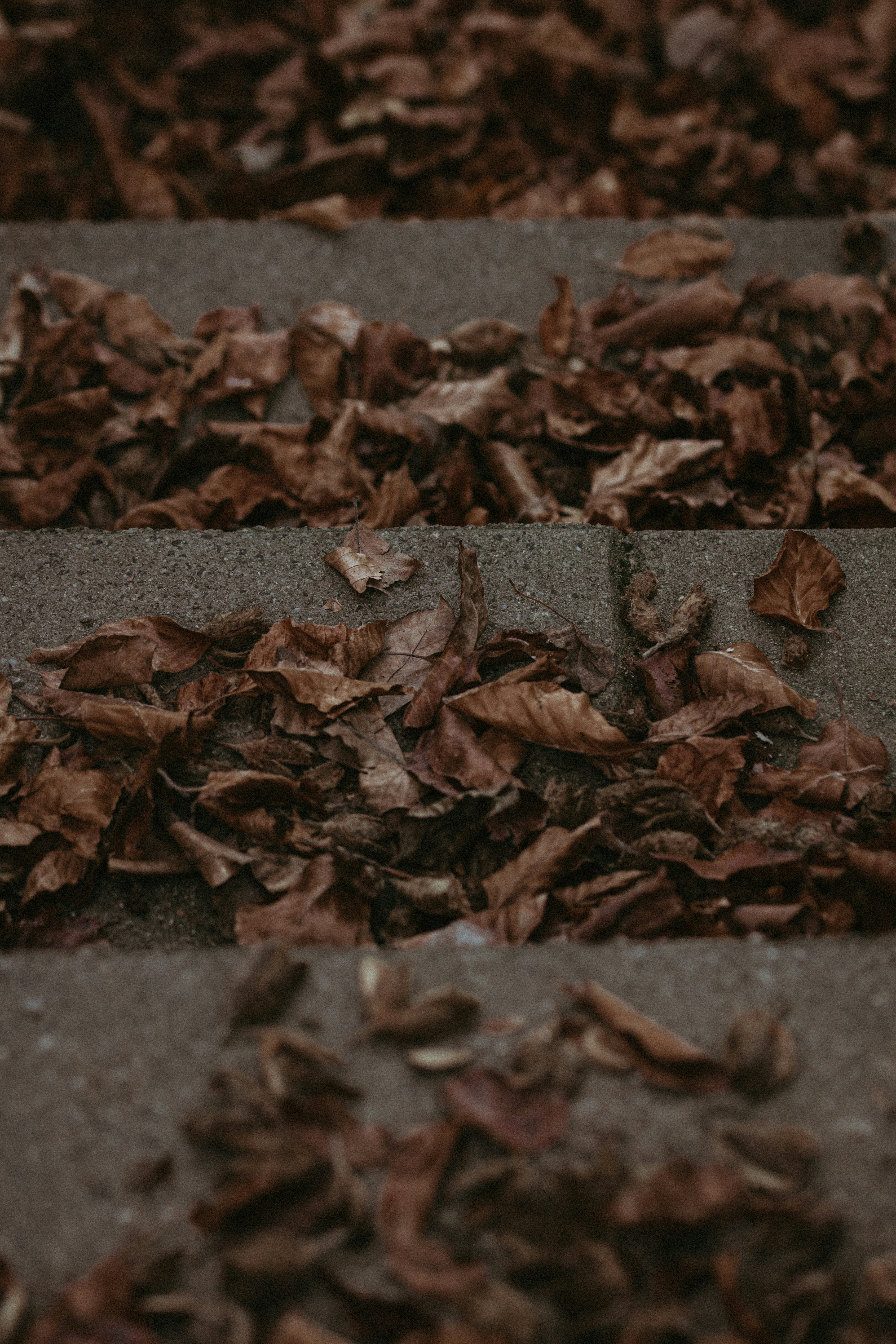 Three Steps of Fall: Close-Up of Brown Leaves on Weathered Concrete