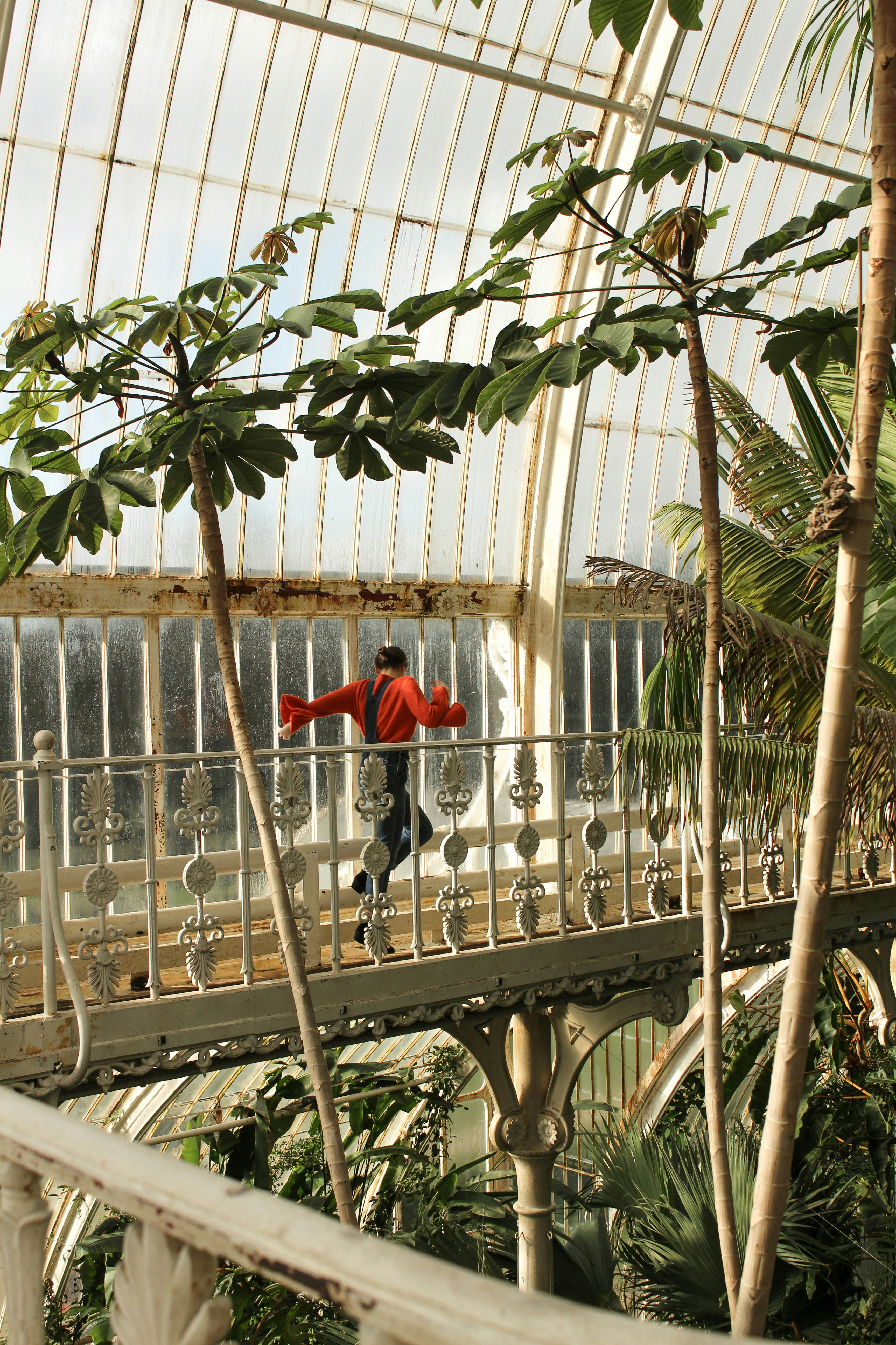 Individual in a vibrant red sweater gracefully walks along a balcony surrounded by lush greenery in a glasshouse. The interplay of light and shadows creates a serene atmosphere.