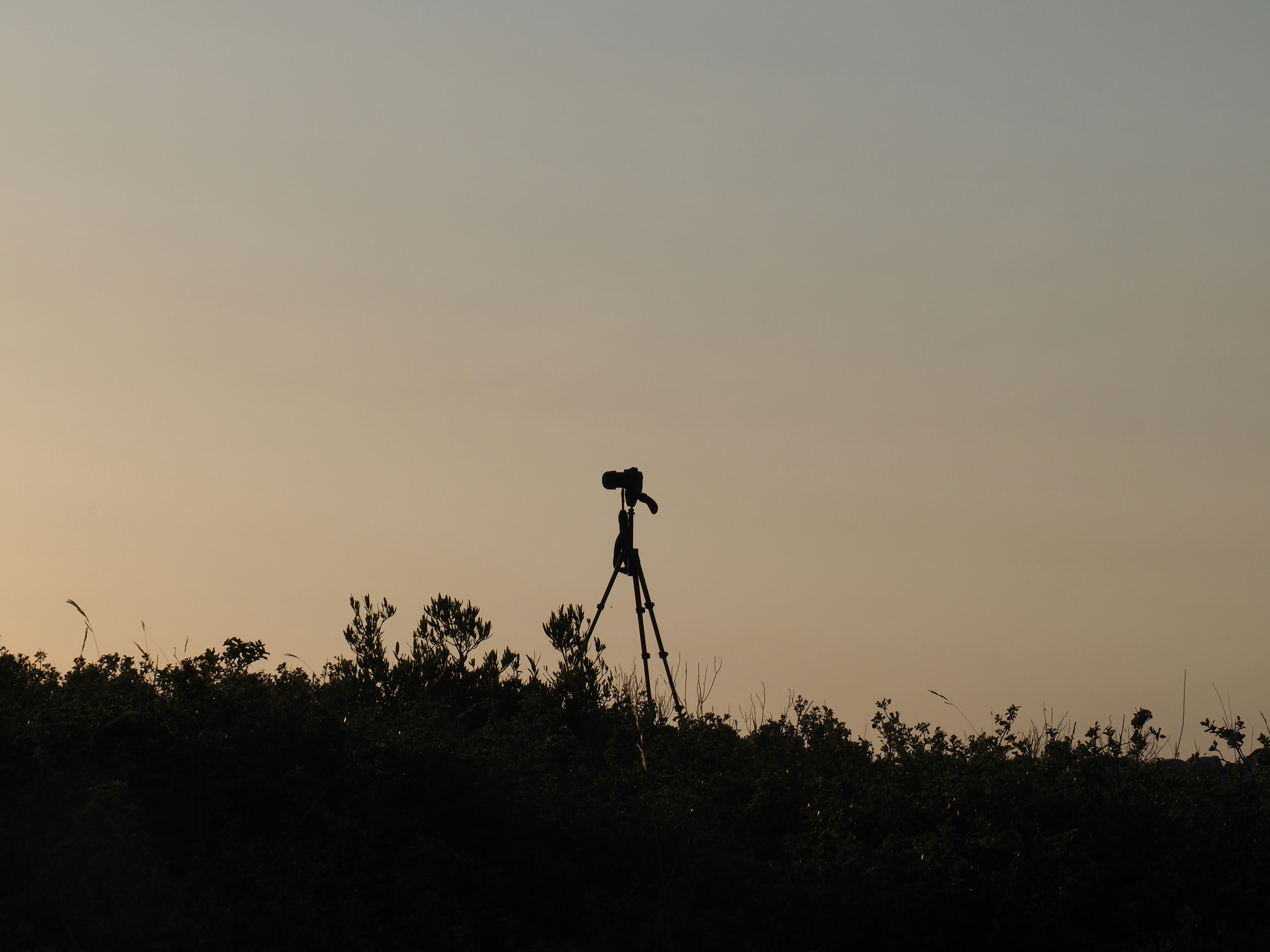 Silhouette of Precision: Photographer's Dawn Setup