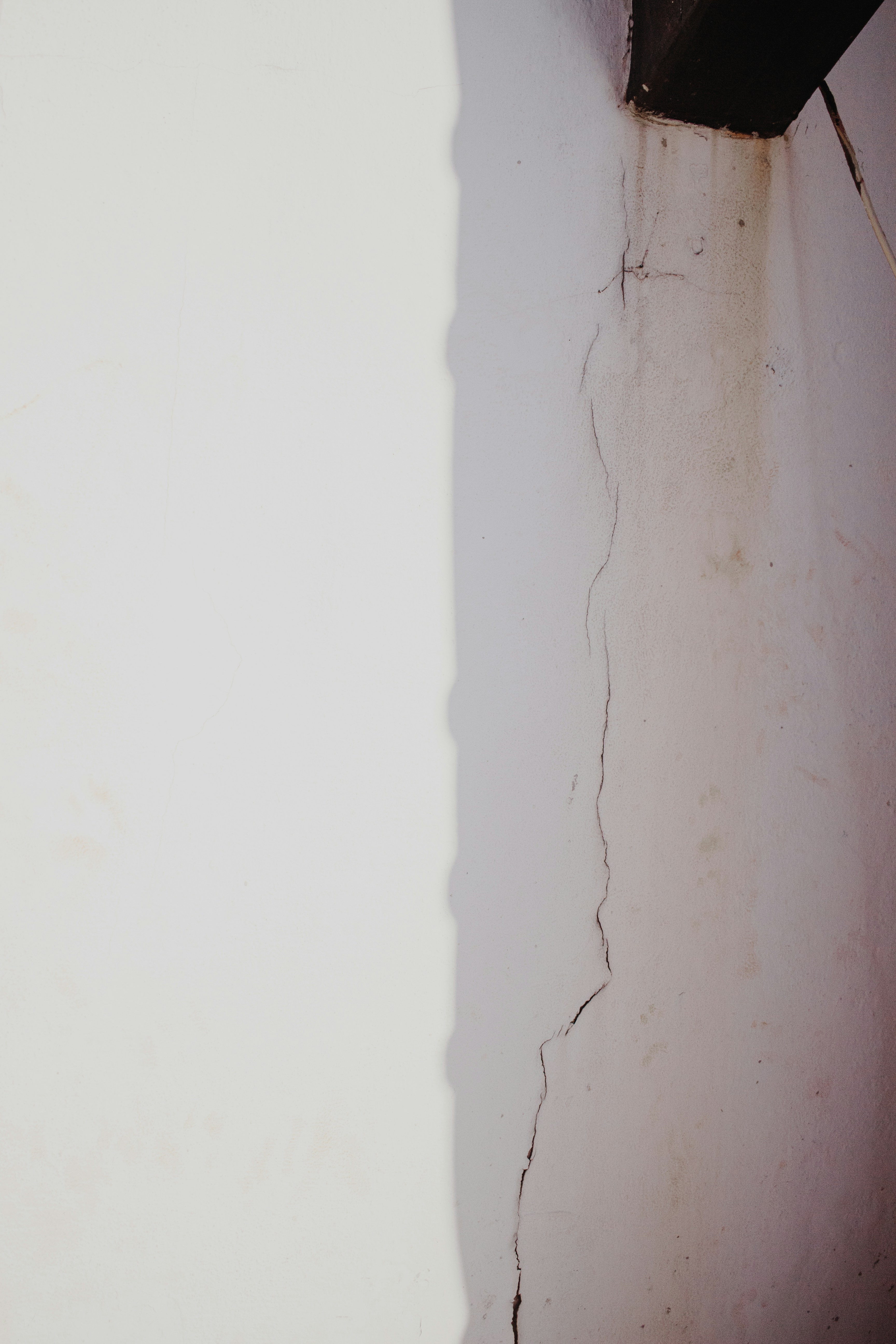 Rizz Pictures | Download Free Images on Unsplash