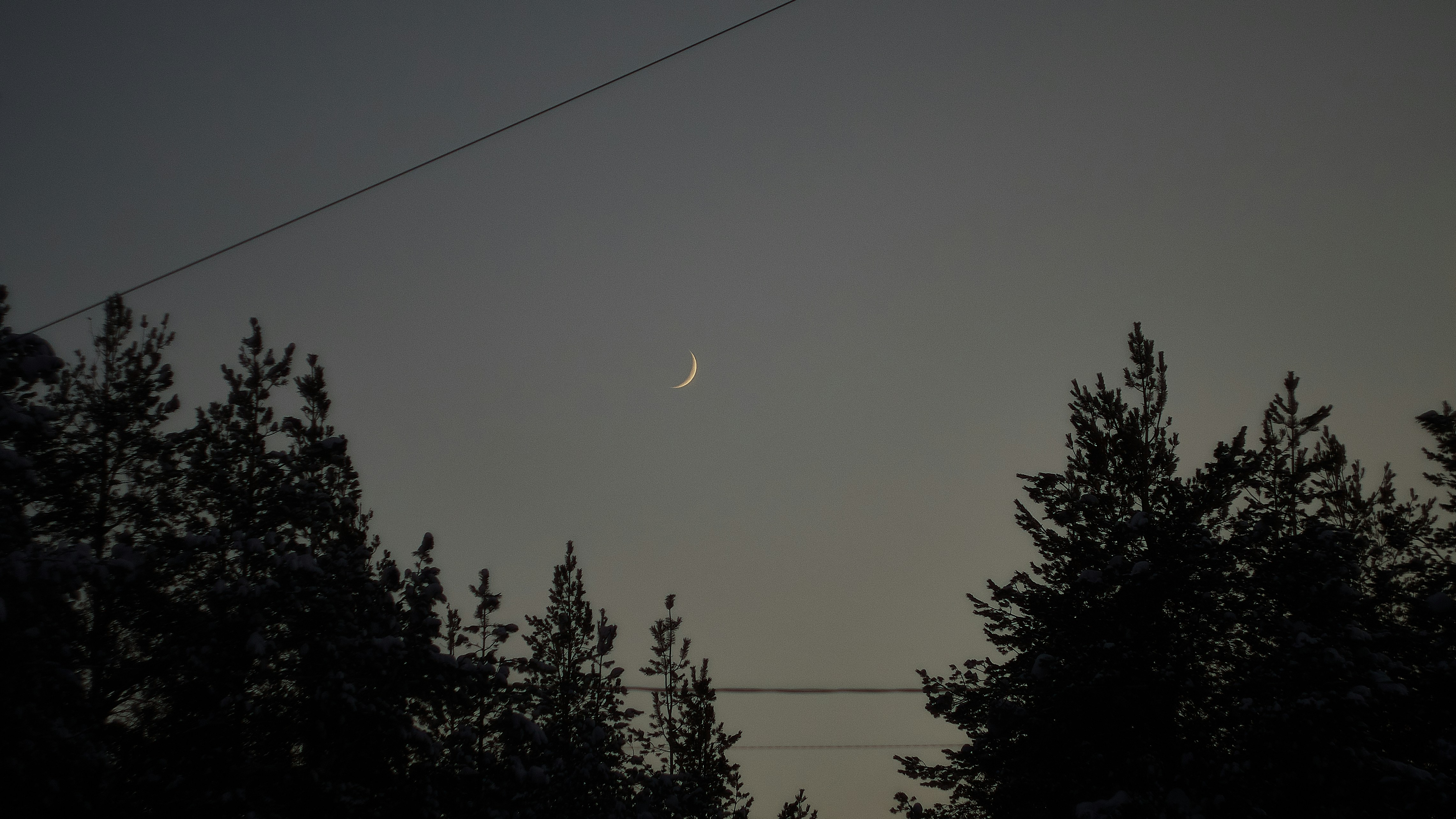 Crescent Moon Over a Quiet Treeline at Twilight