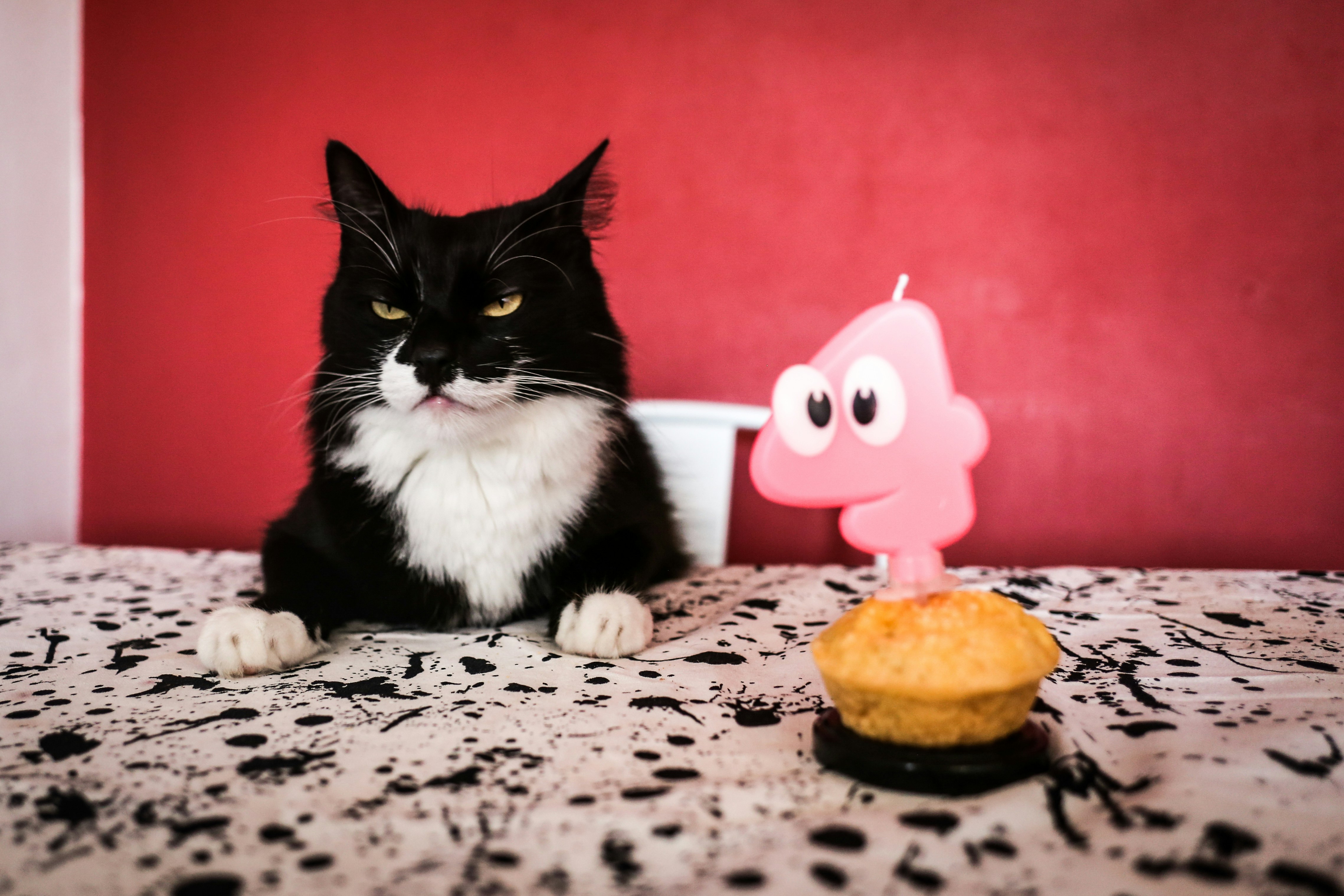 Mischief at the Dessert Console